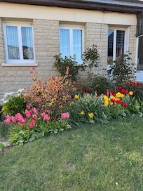 The beautiful property and flowers outside our room