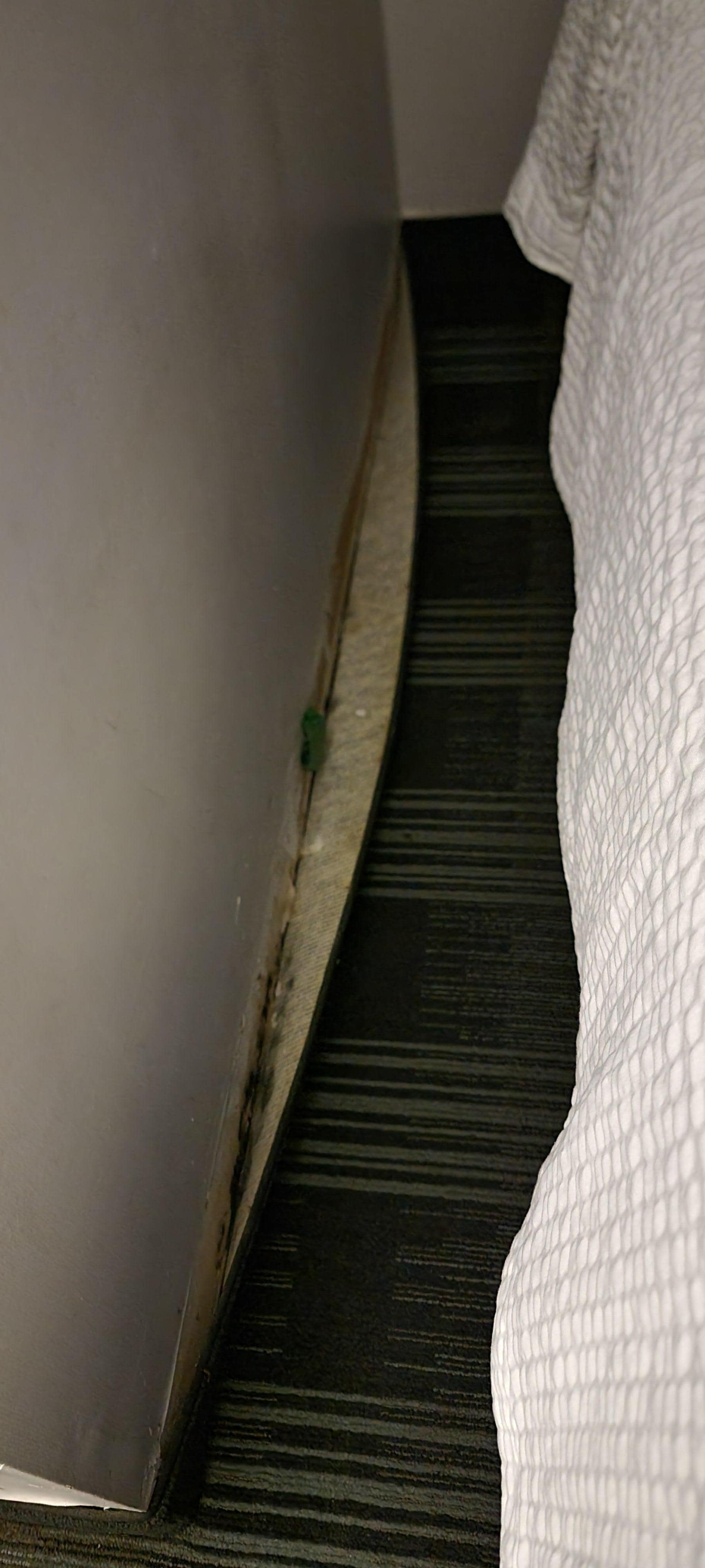 Carpet next to the bed damaged