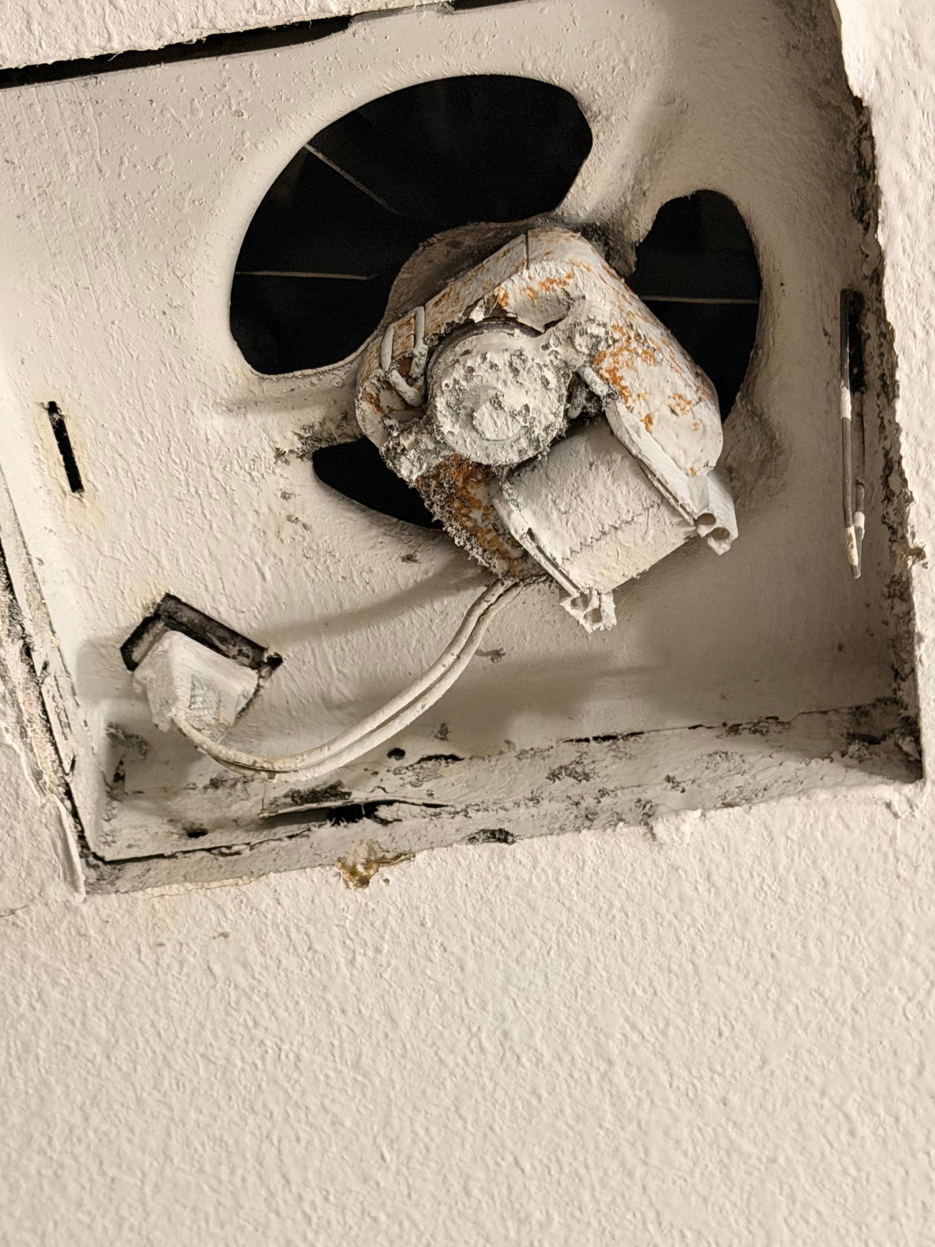 No exhaust fan, possible mold. 