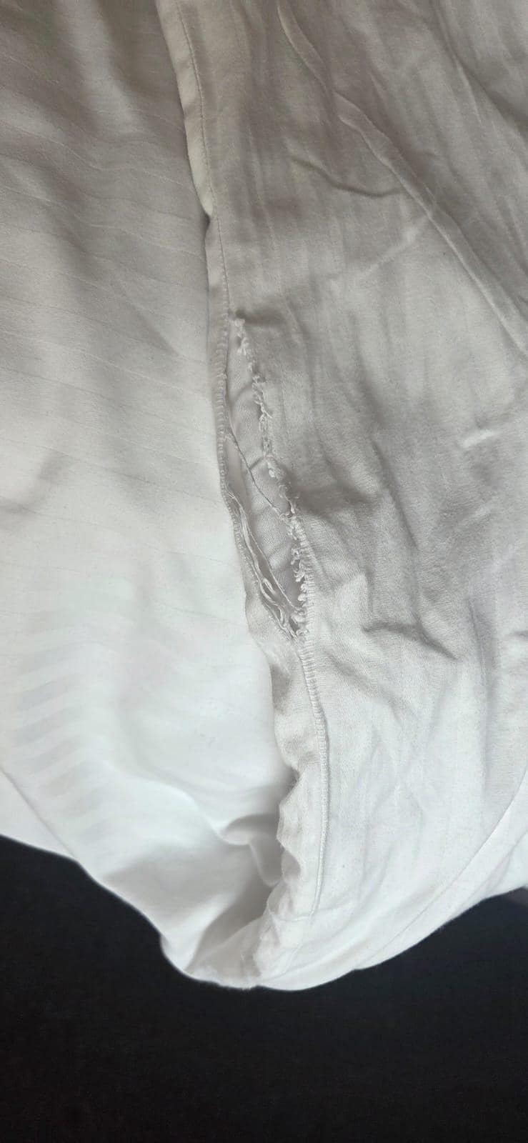 torn sheets. not sure due to newly started pet friendly ... 