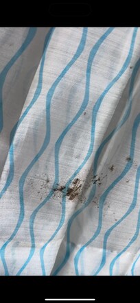 Curtain again, covered with some unknown black substance