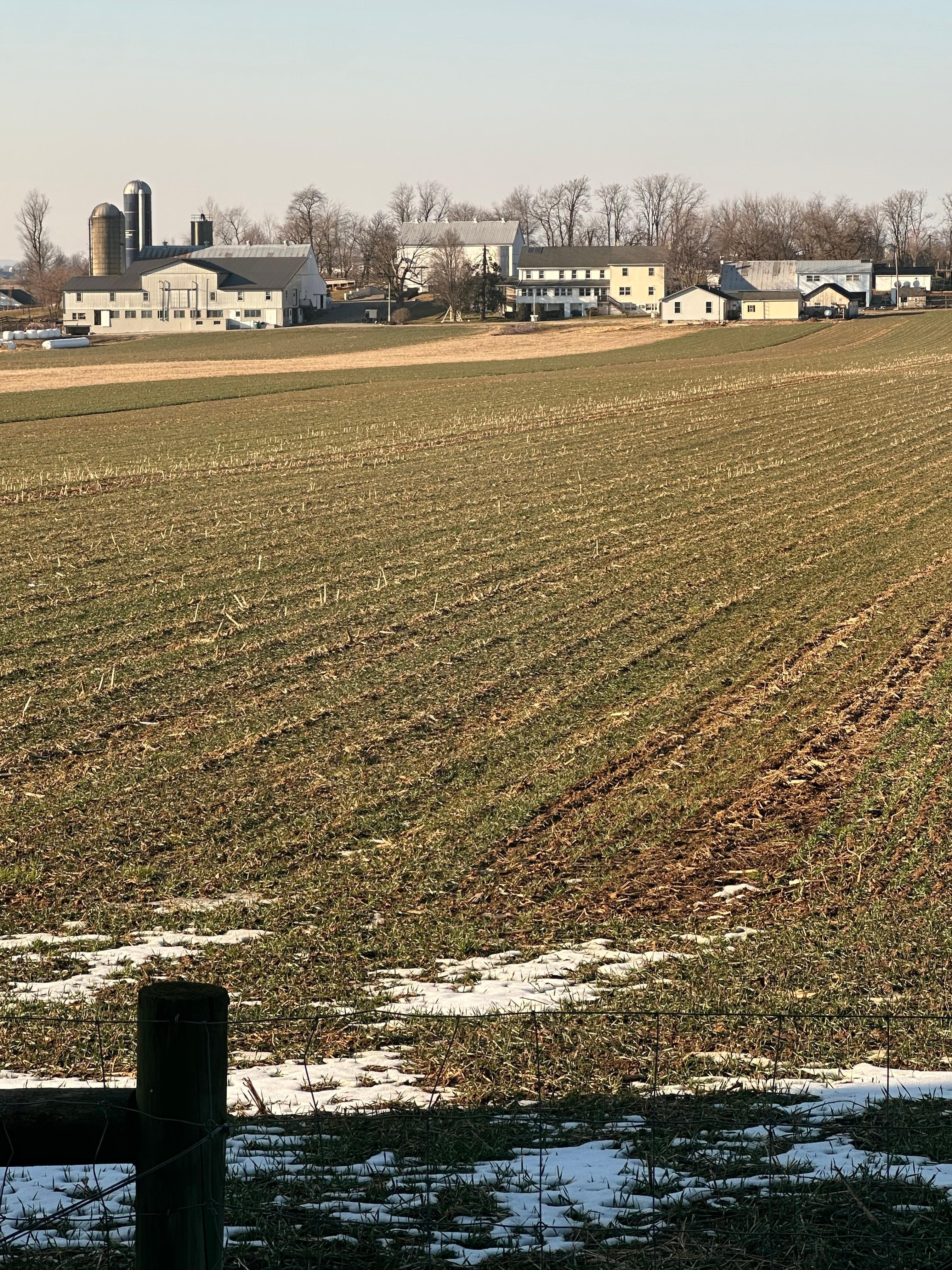 Room with an amazing view!