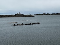 Søløvernes ligger og hygger sig tæt ved.