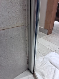 Mold in shower