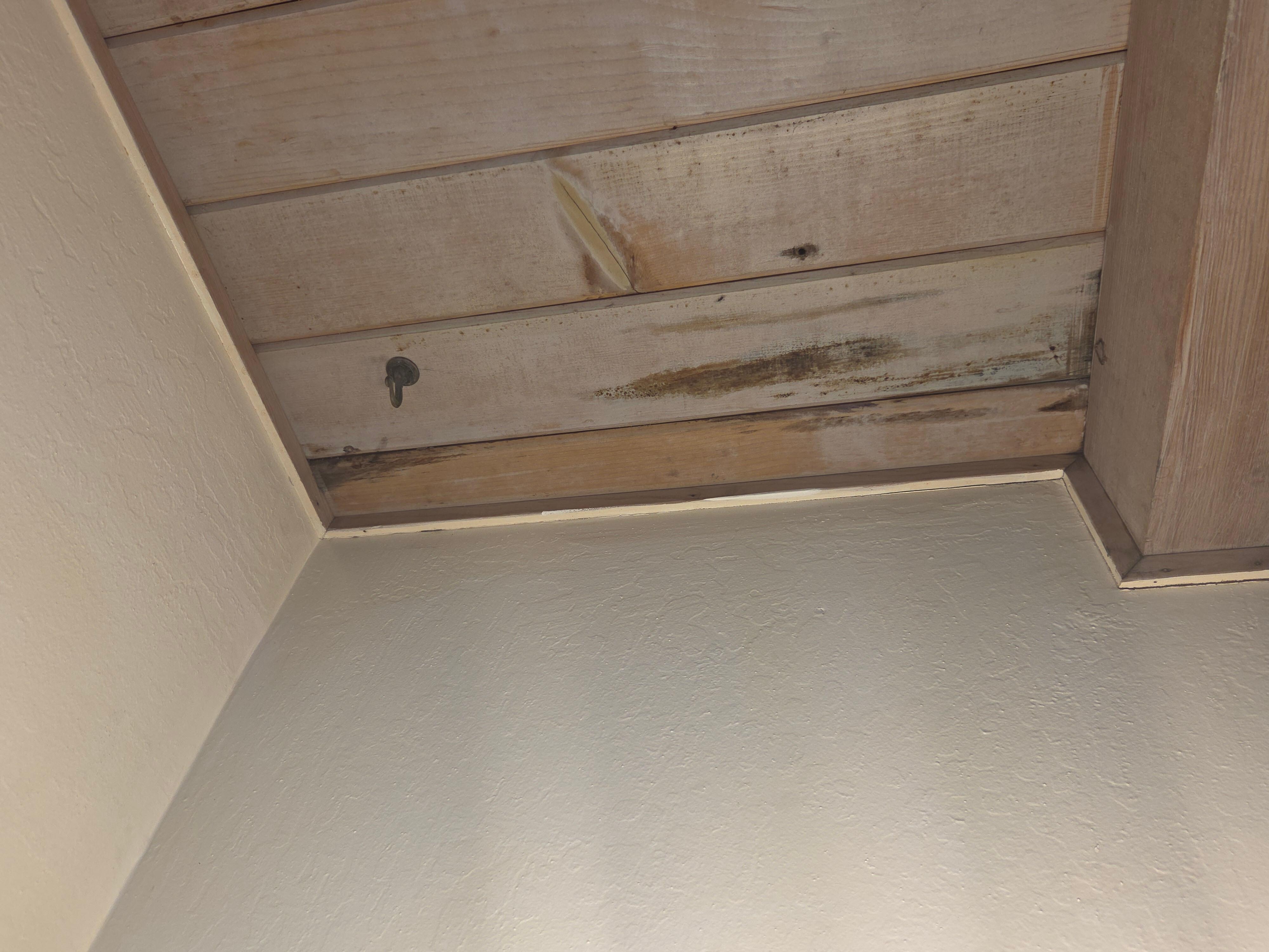 Water damage in the ceiling 
