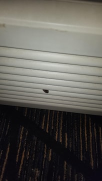 Dead mice in AC vent...