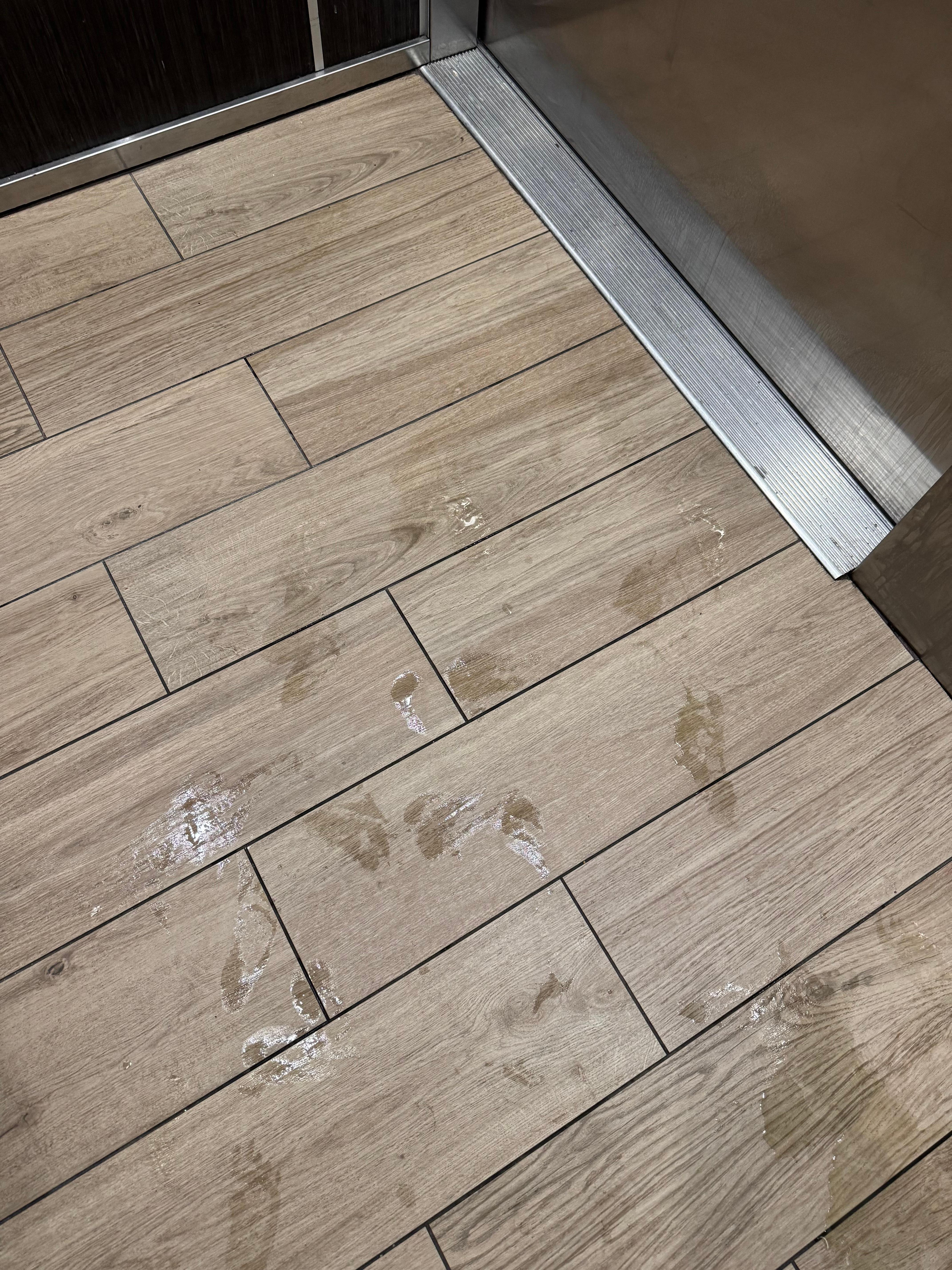 Hotel elevators, dog urine