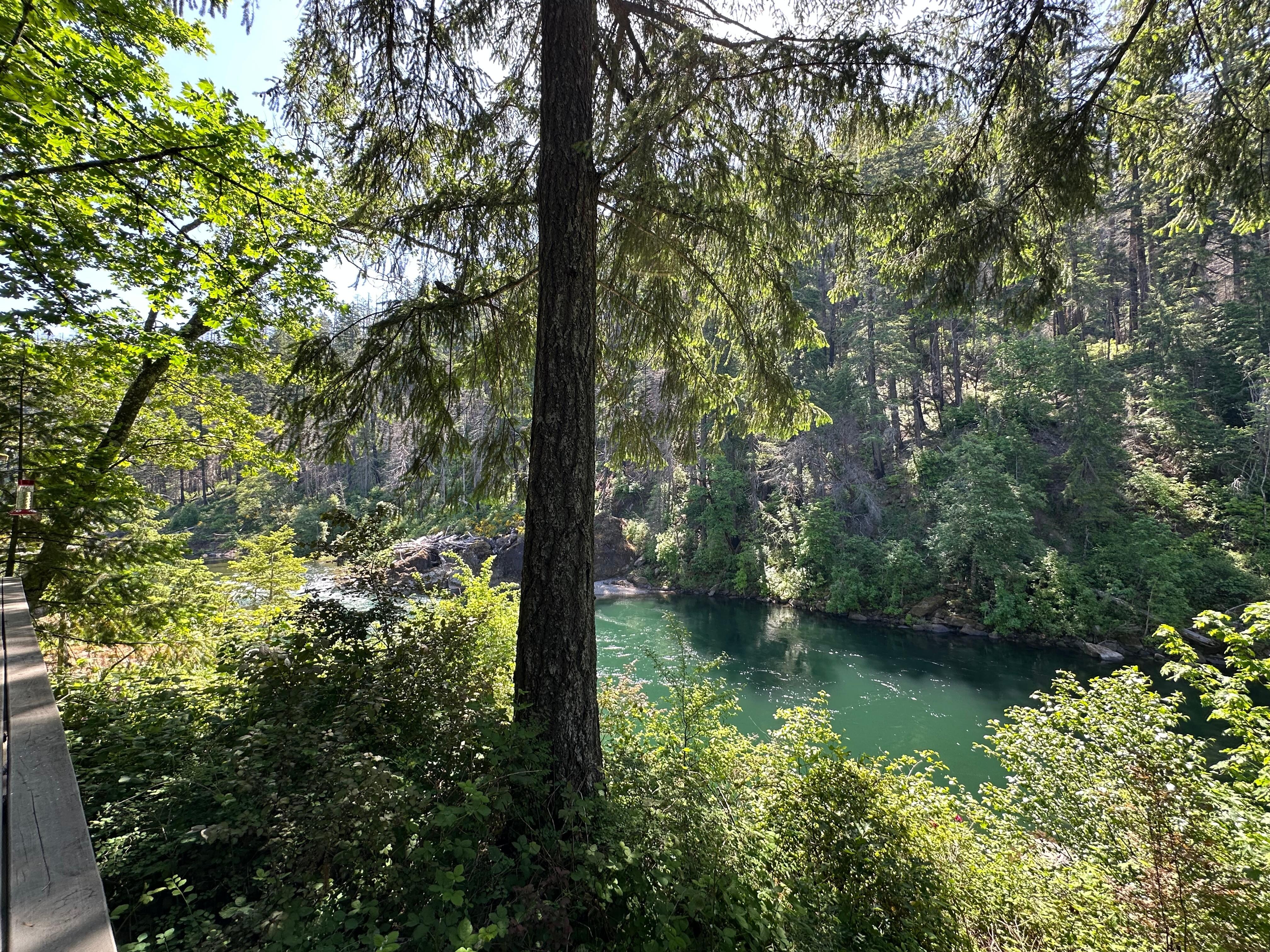 Our view from the backdoor