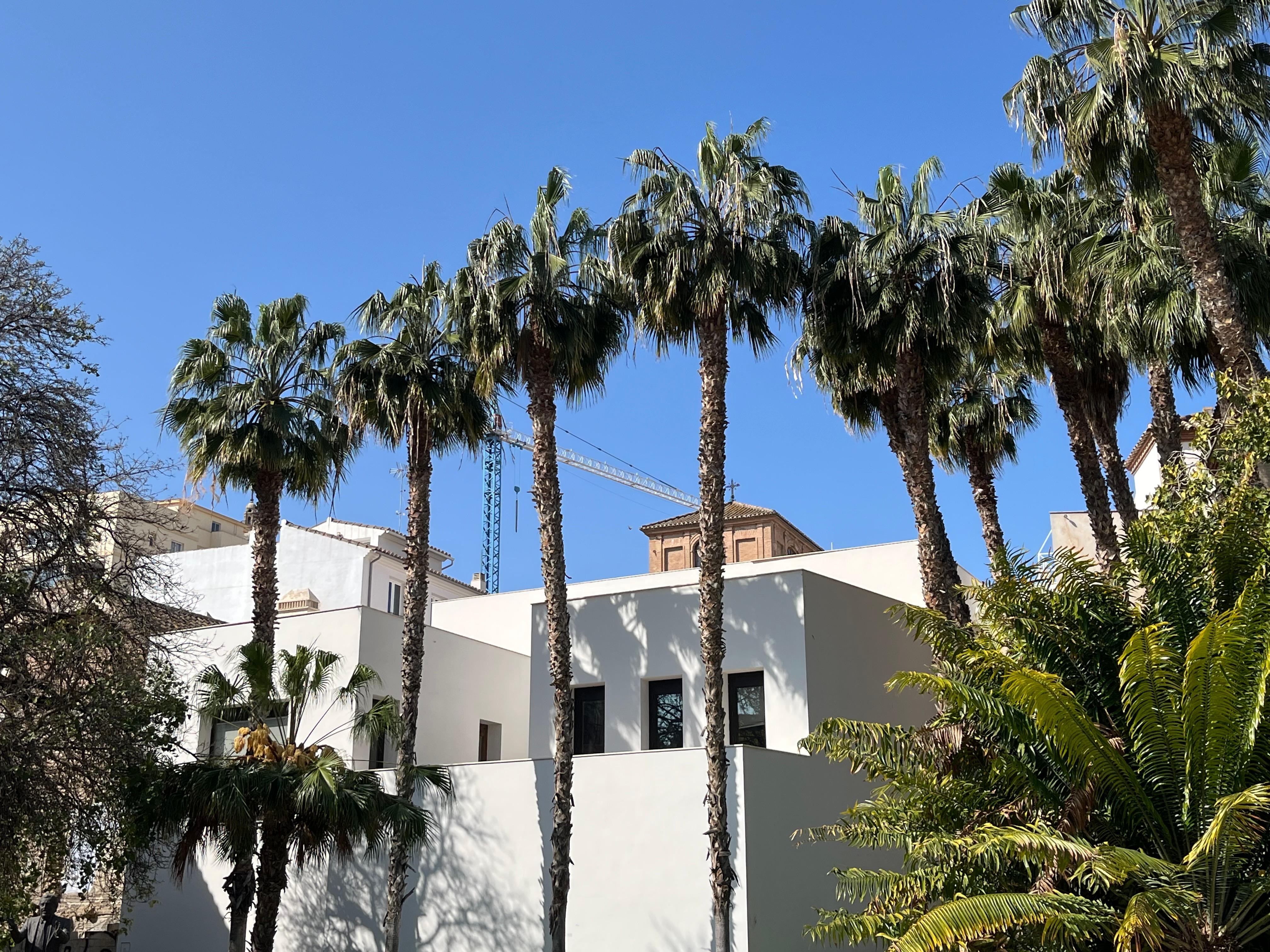 Place du forum romain