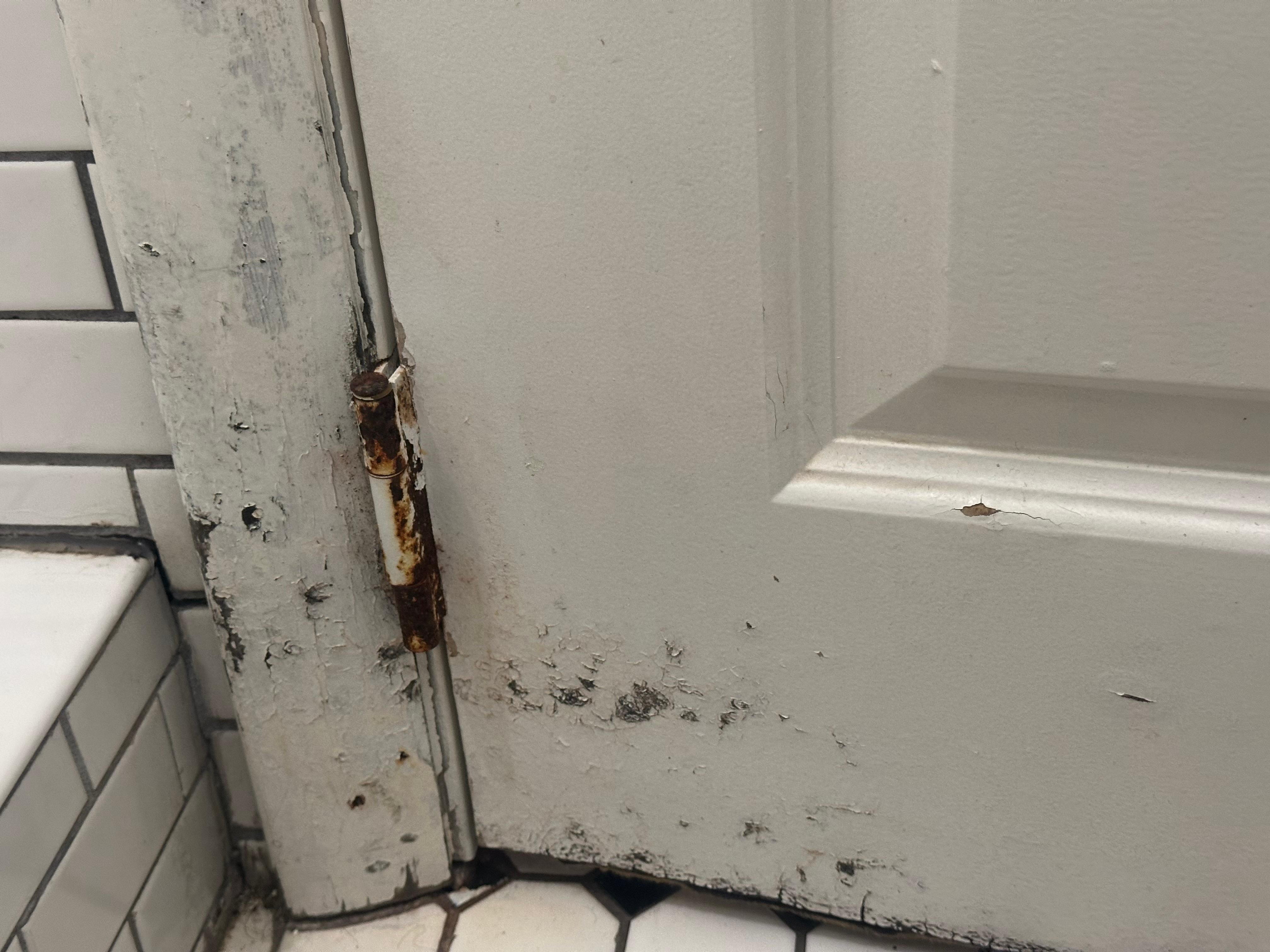 Rusted hinges, damage, mold on bathroom door