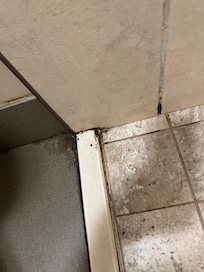 Mold in the shower!