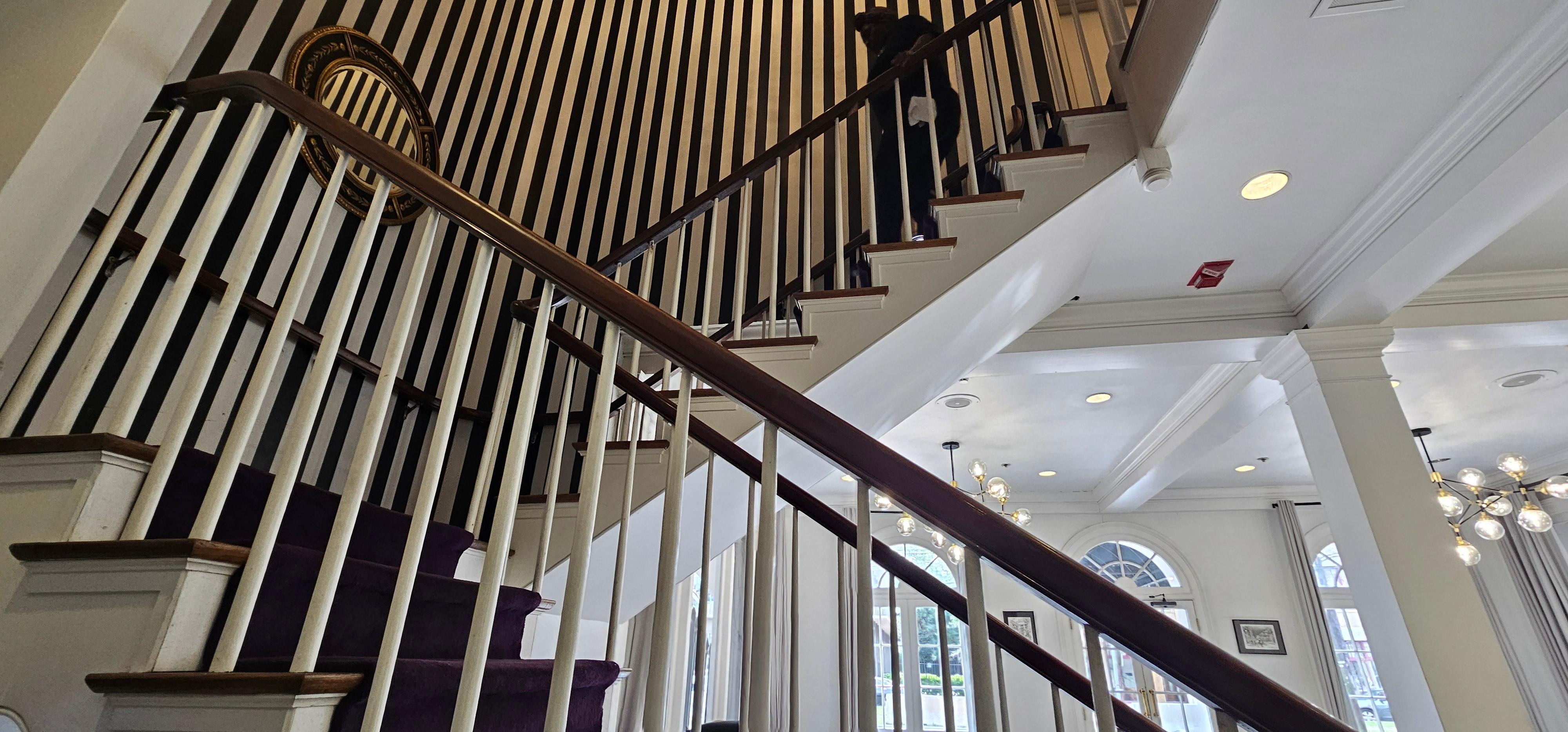 Beautiful old lobby stairs