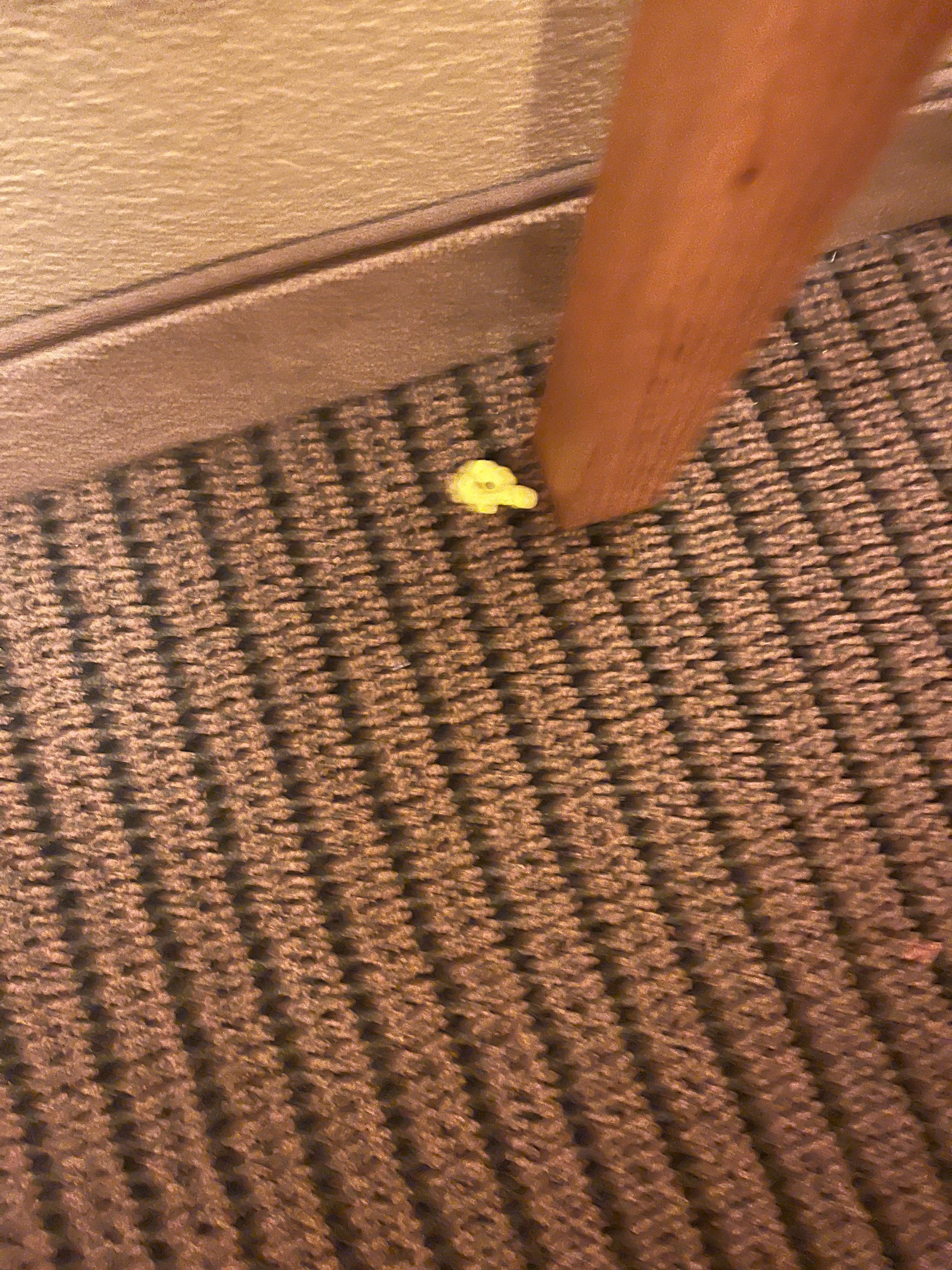 Trash left in the roo
