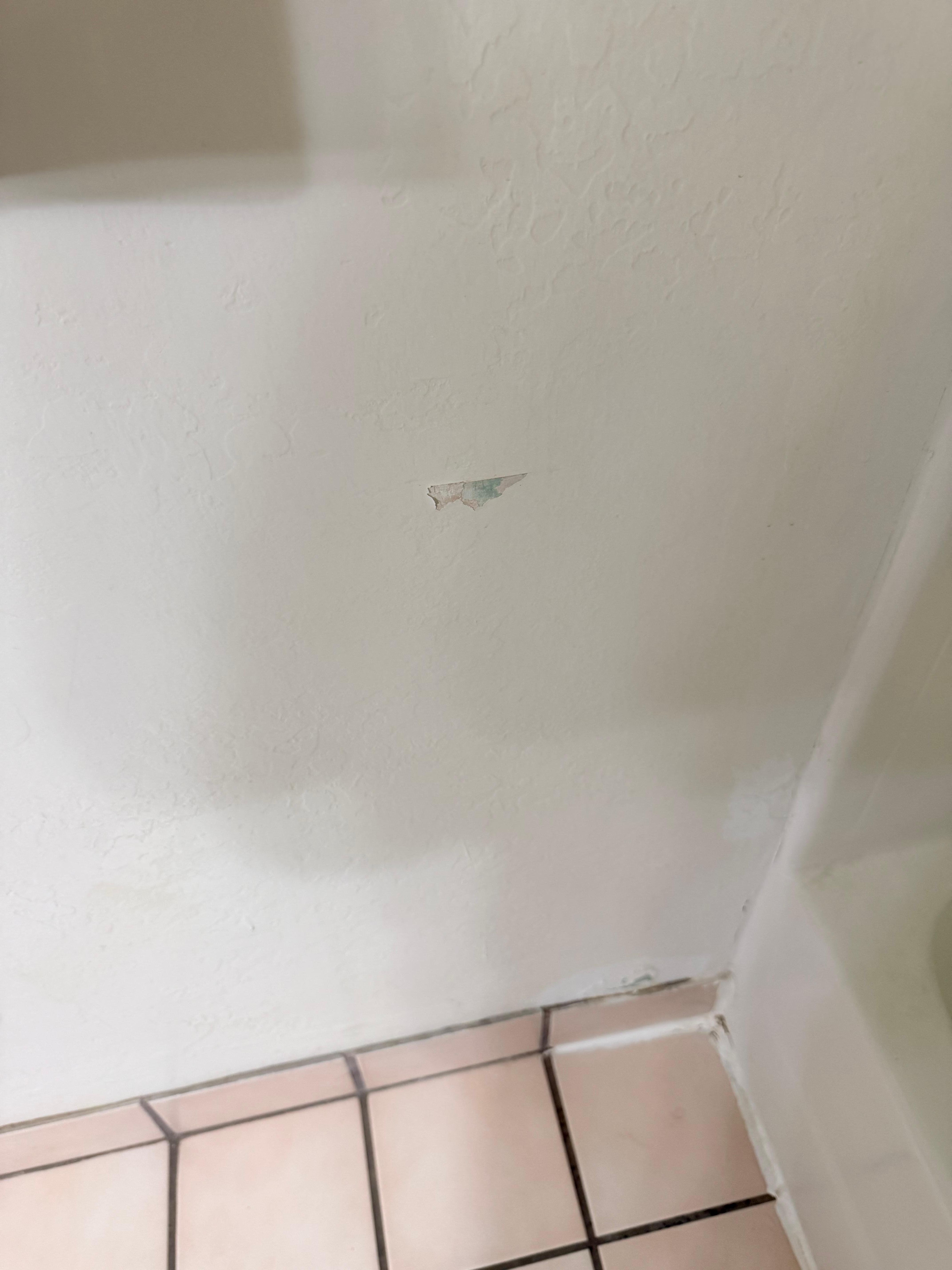 Walls where all scratched up 