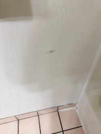 Walls where all scratched up