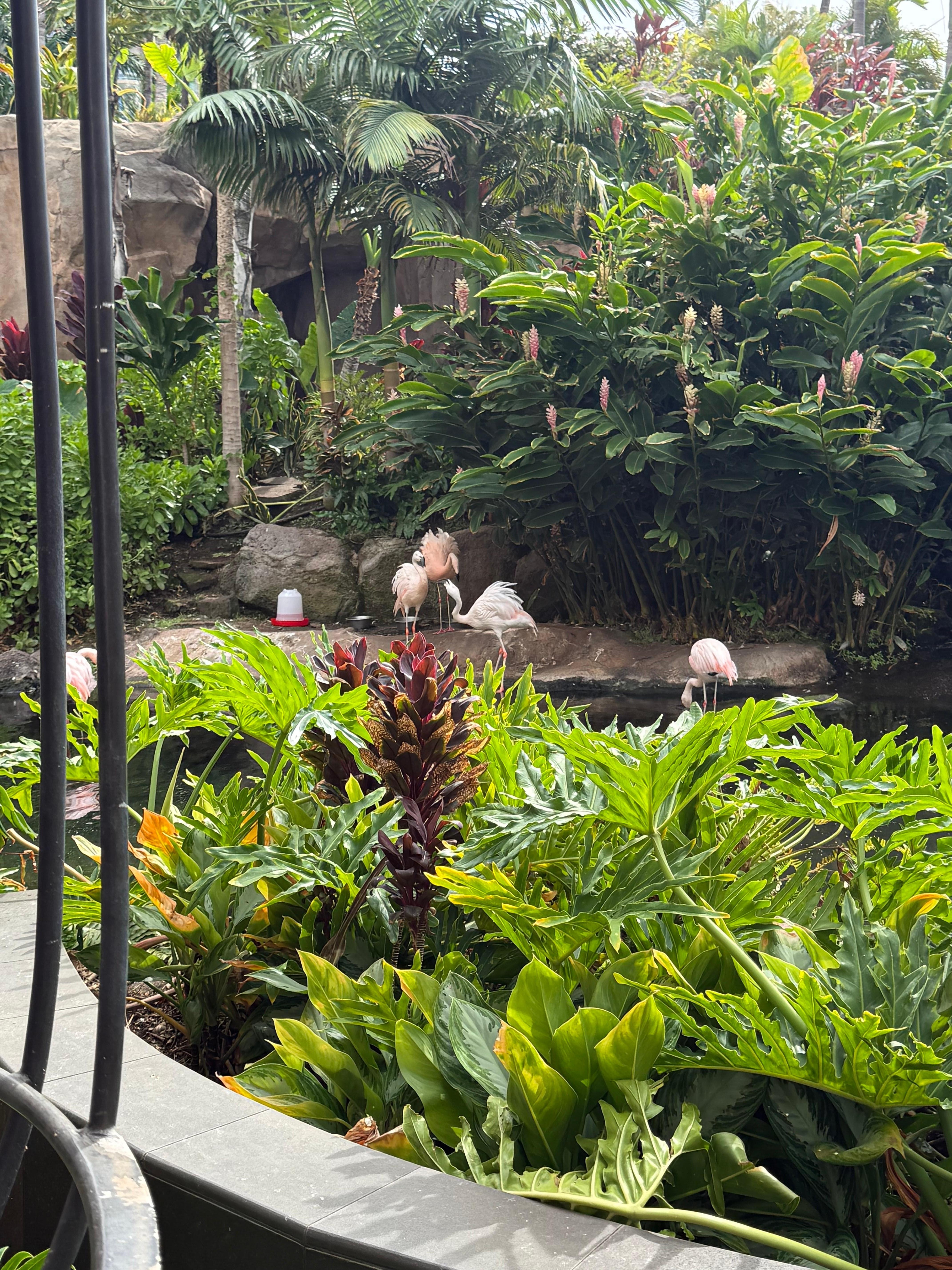 Beautiful water features and waterfalls around the pools.