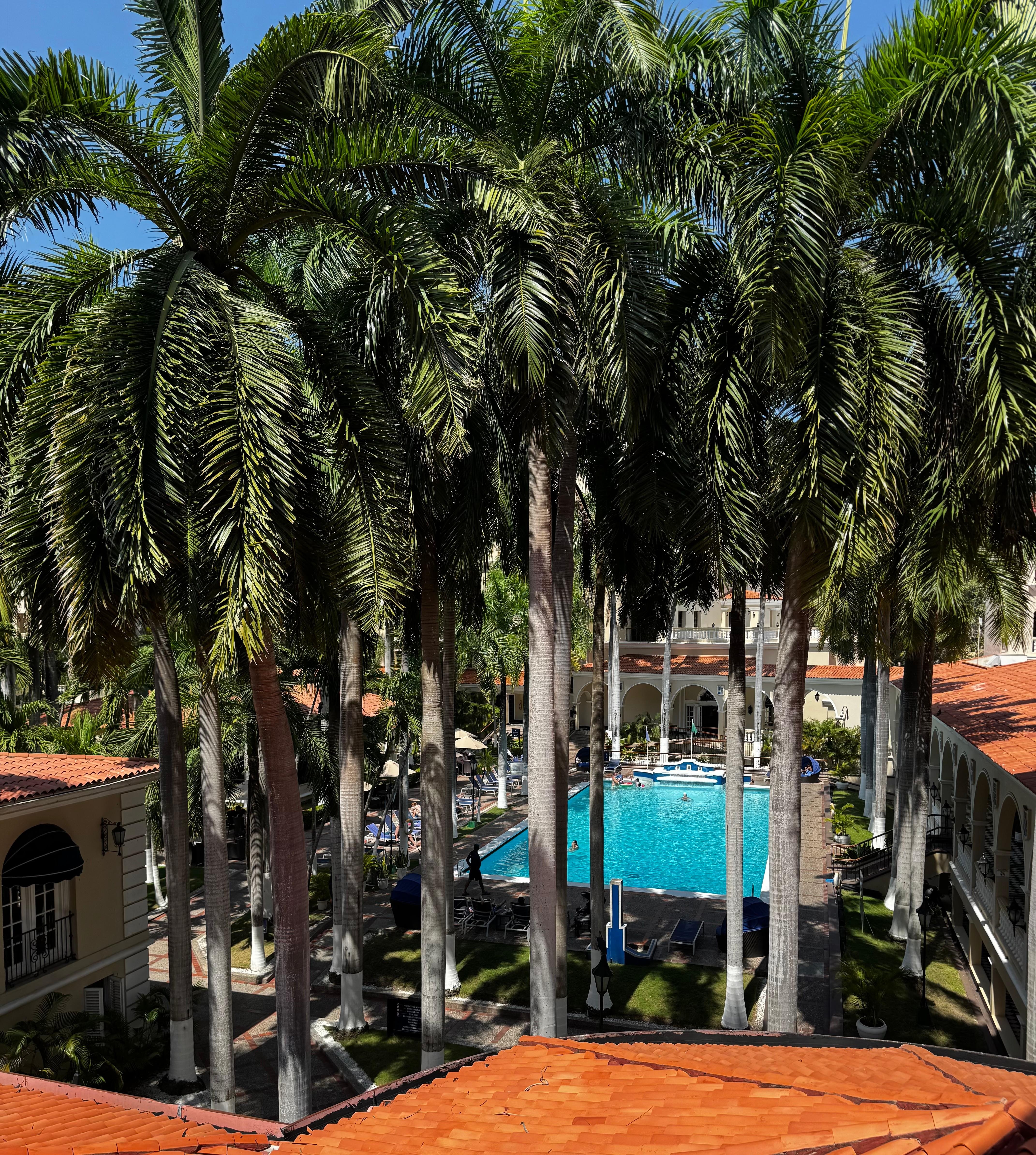 Nice place to hang out