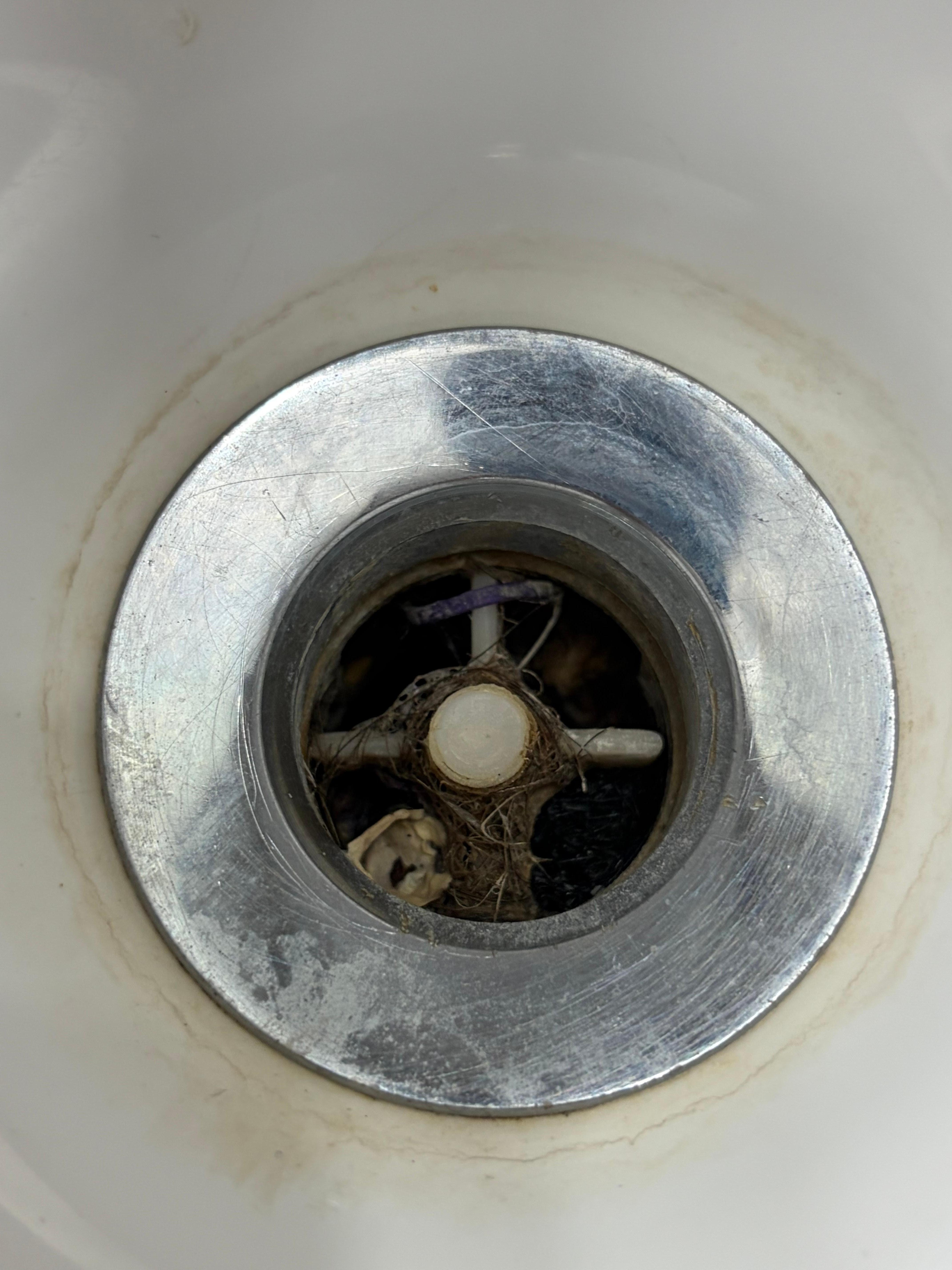 Hair and filth in the drain