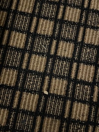 One of many scraps of paper, debris all over the carpet.