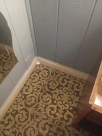 nasty stains in the carpet