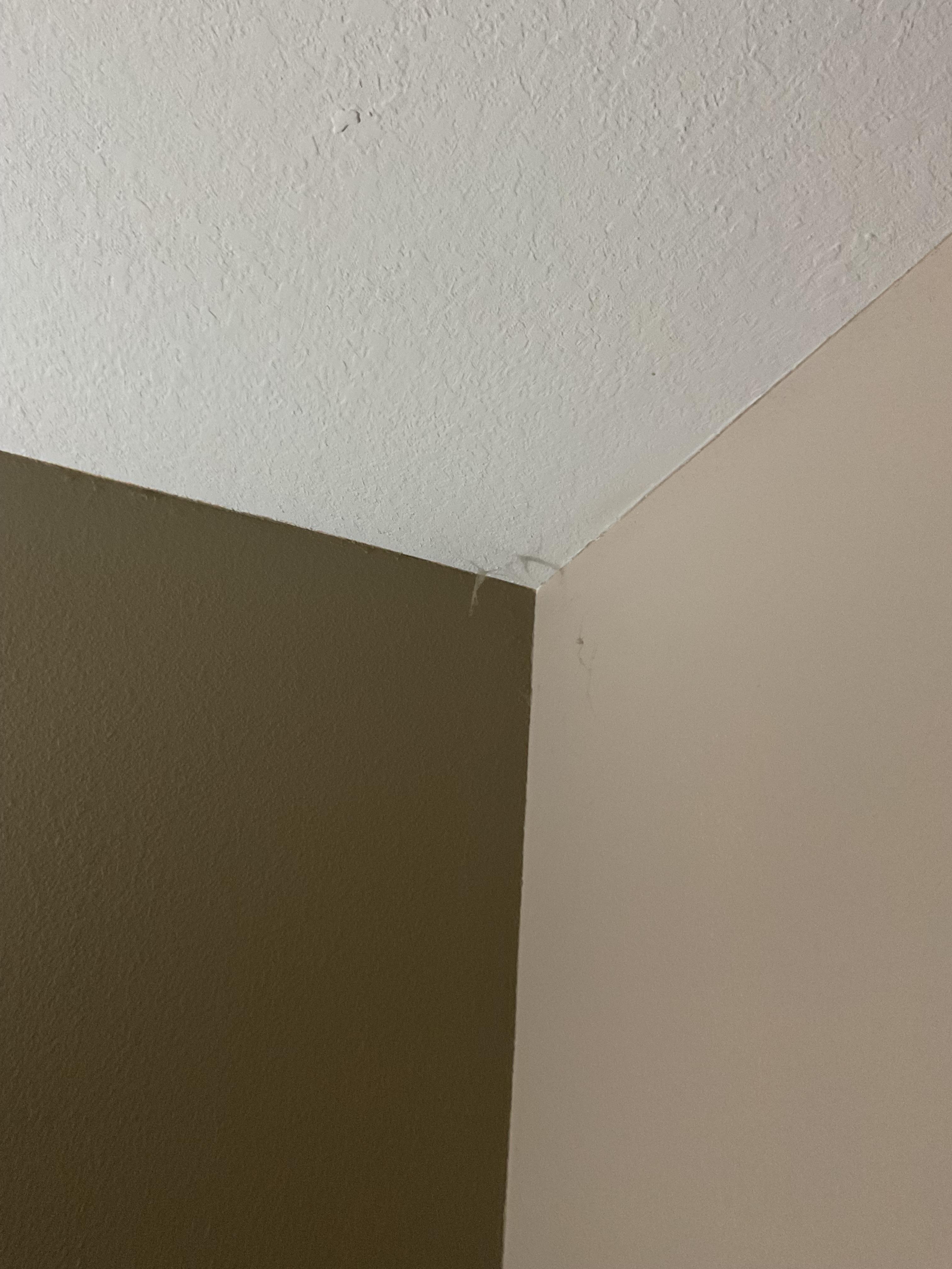 Big cobwebs in the corner