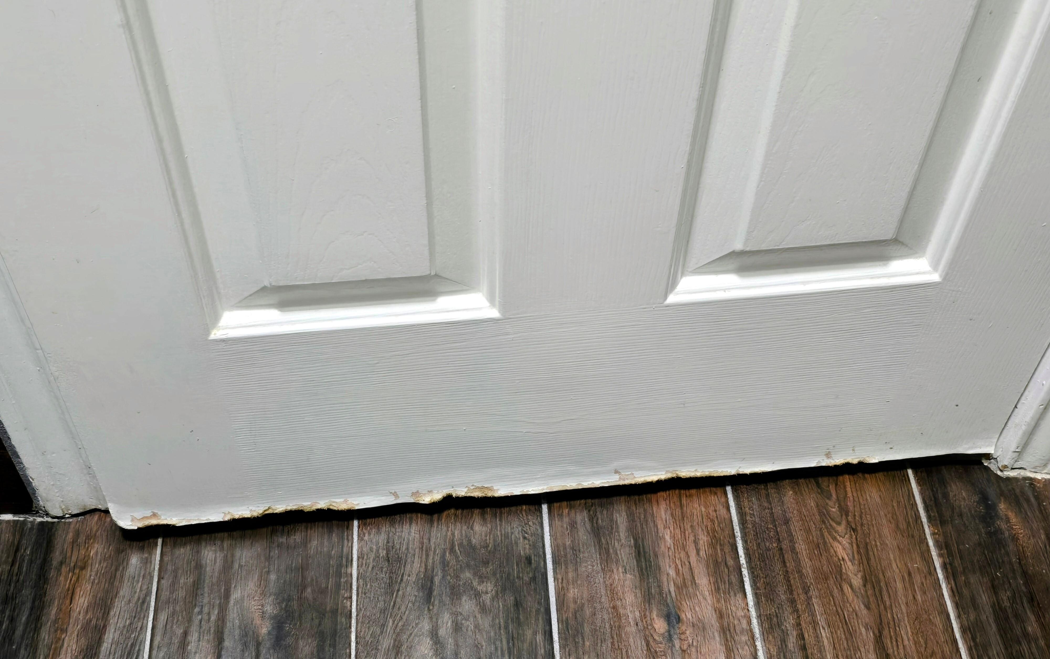 Inside bottom of bathroom door 