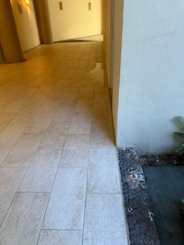 Water for plumbing closet that leaks constantly and into the walls of the room. Hence mold.