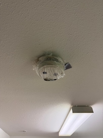 Fire alarm covered by plastic