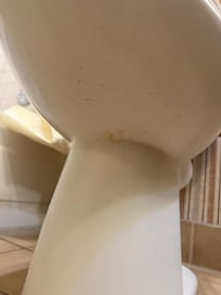 Urine left on the toilet which I had to clean