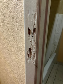 Door jam shows termite issues
