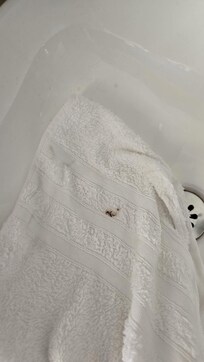 Das sollte unser "Schaden" sein....