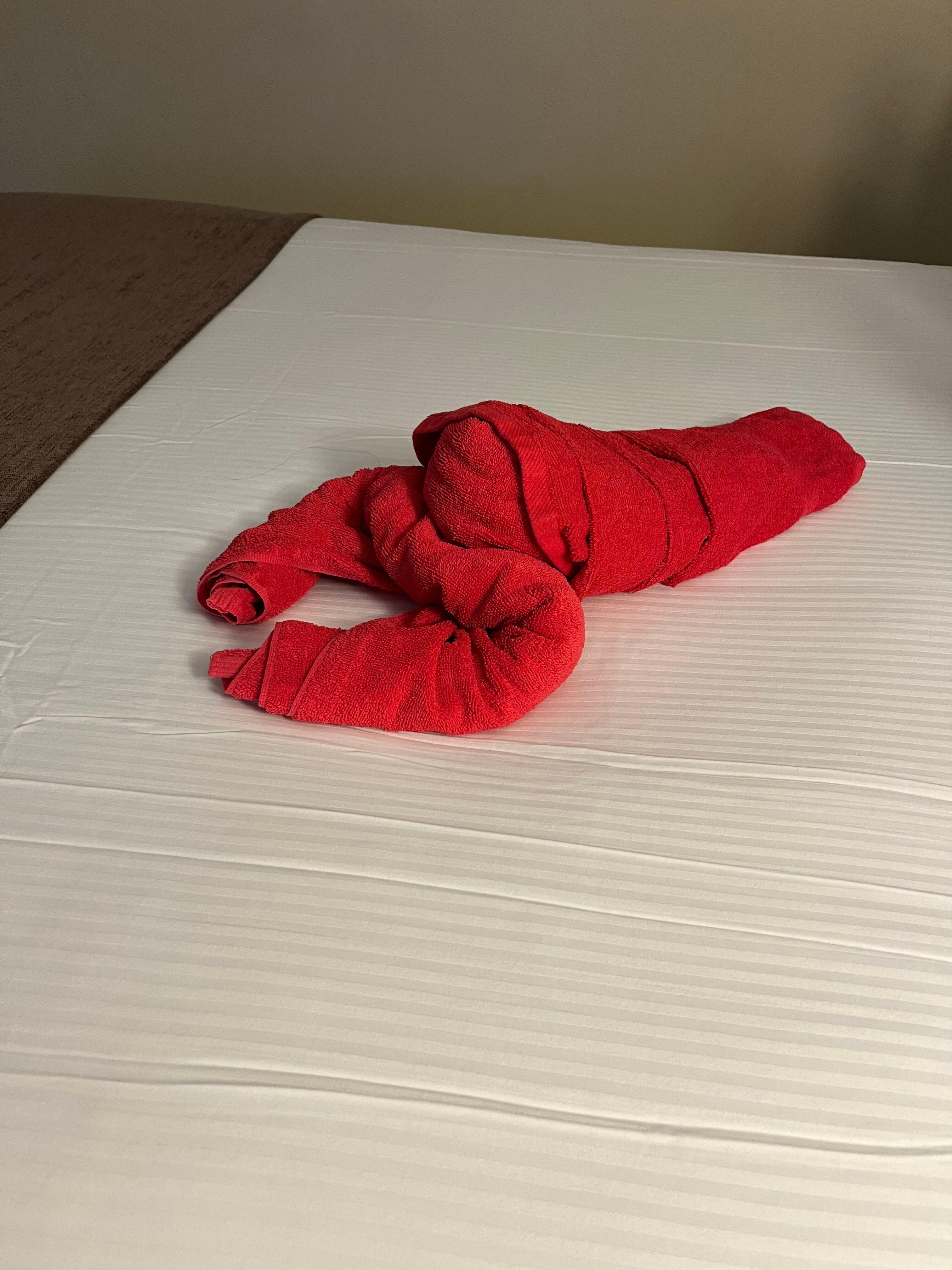 Greeted by a towel lobster. 