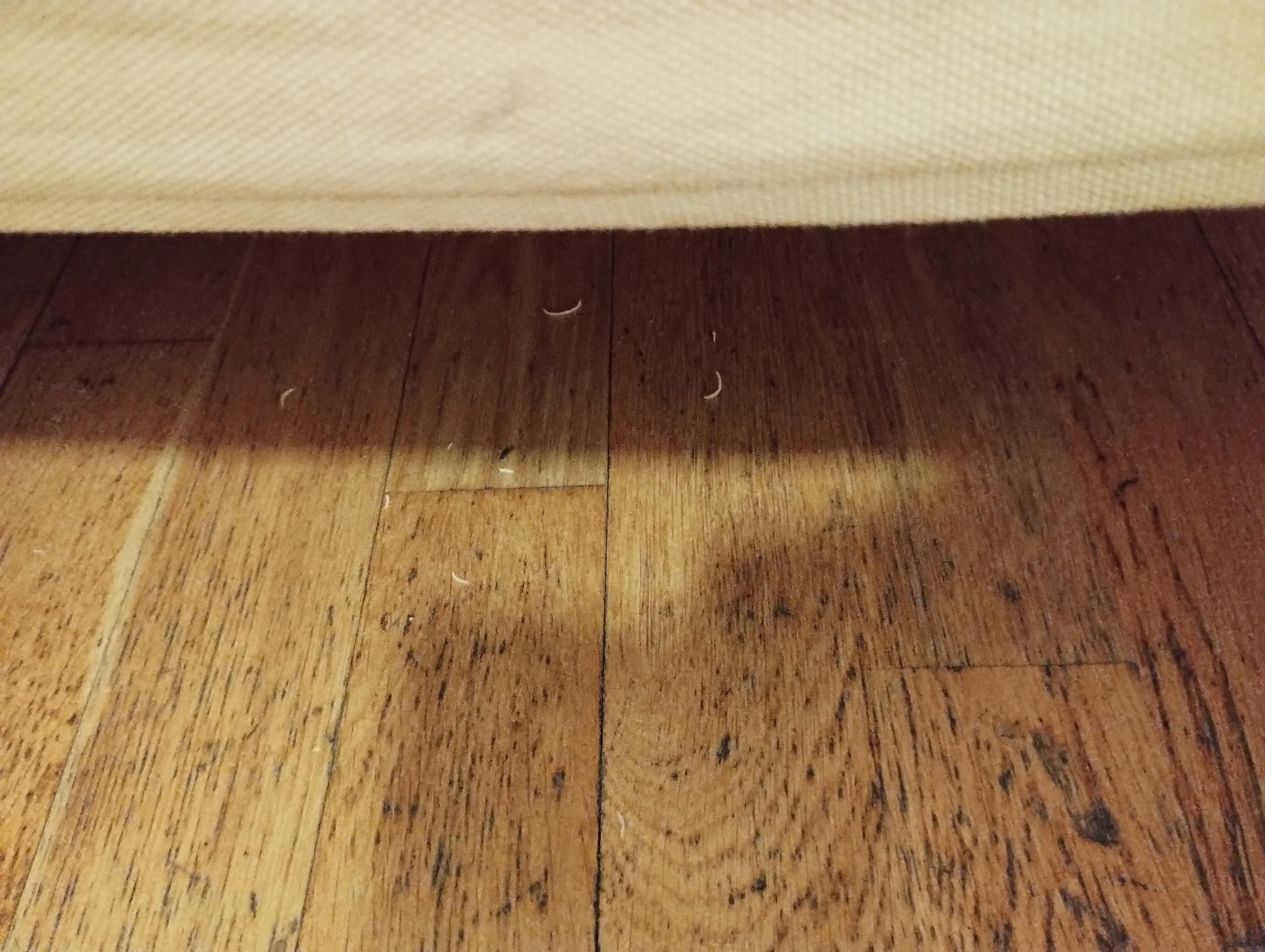 Nails on the damaged floor.