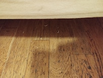 Nails on the damaged floor.