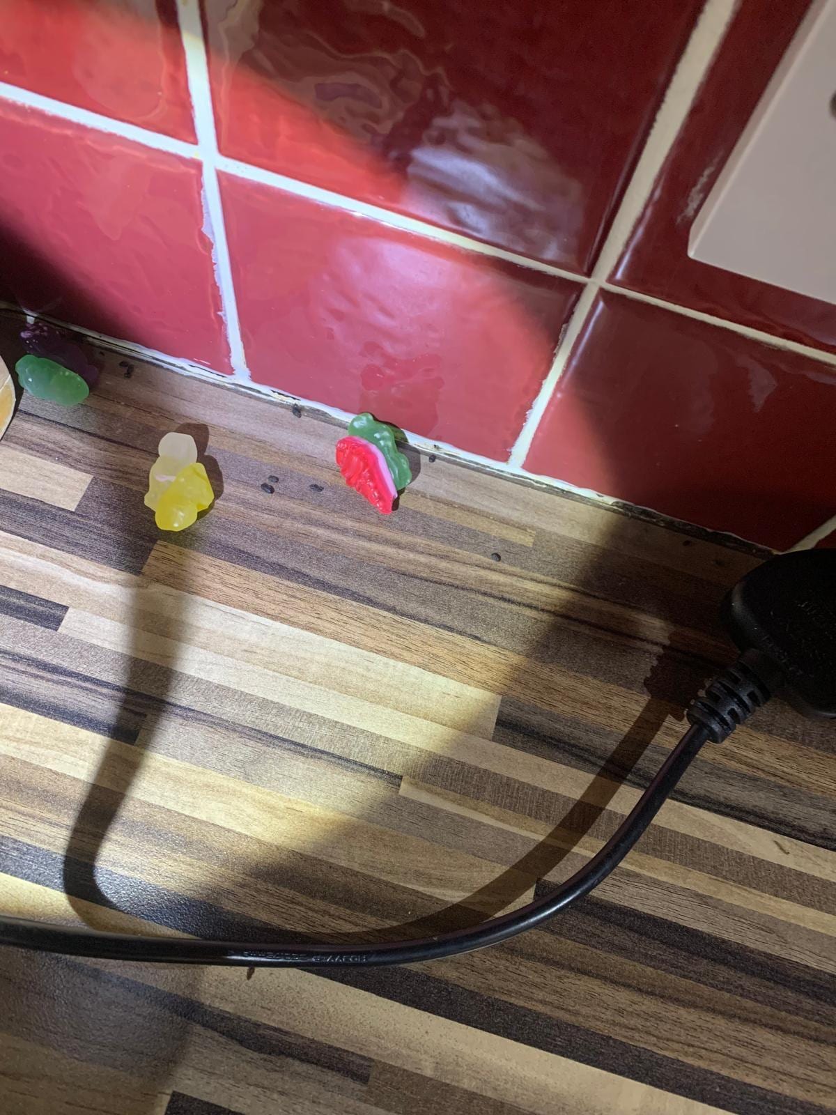 Mouse poop and eaten candies on kitchen counter 