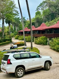 Tiki Huts