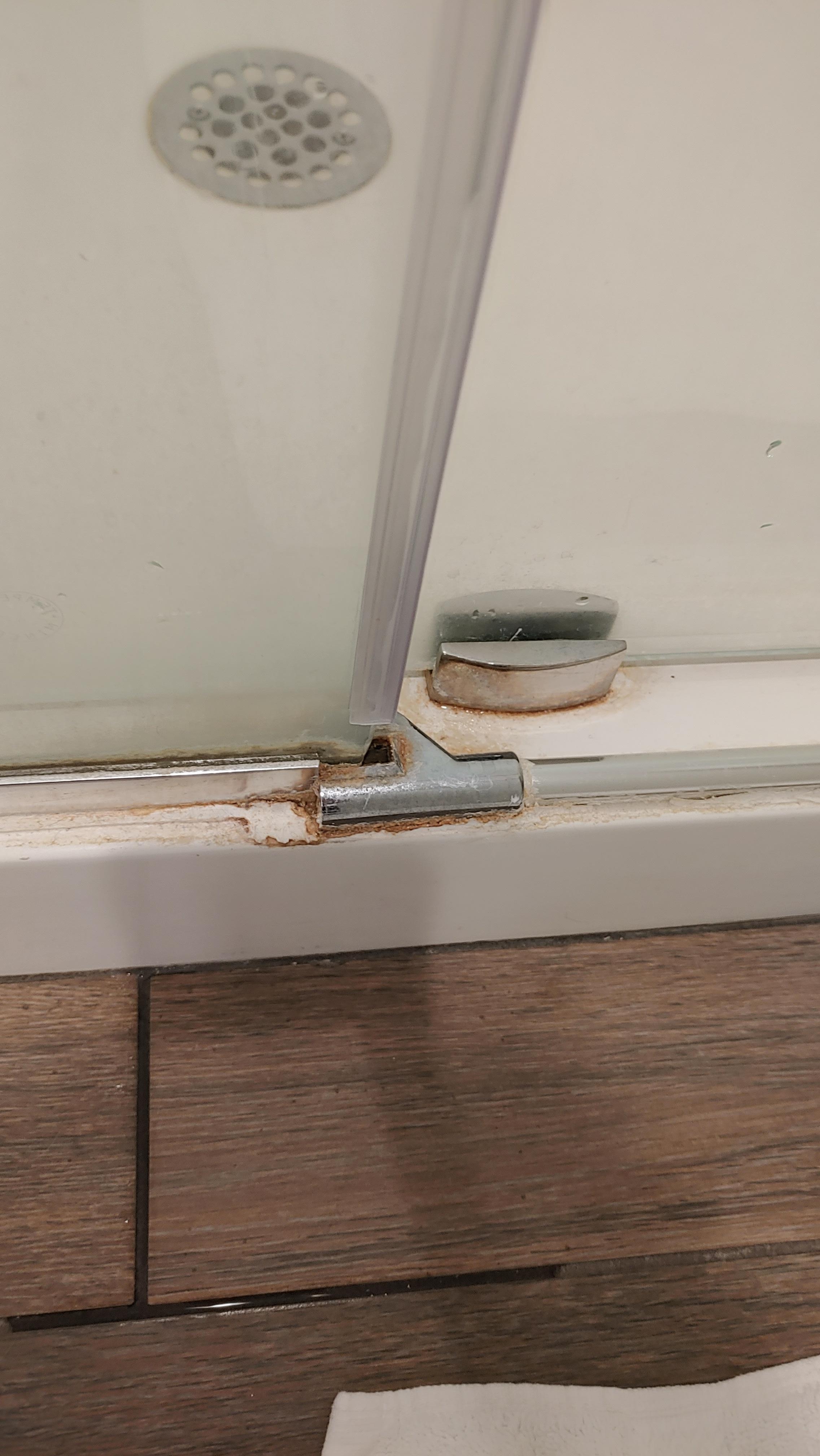 Mold on track of shower door 