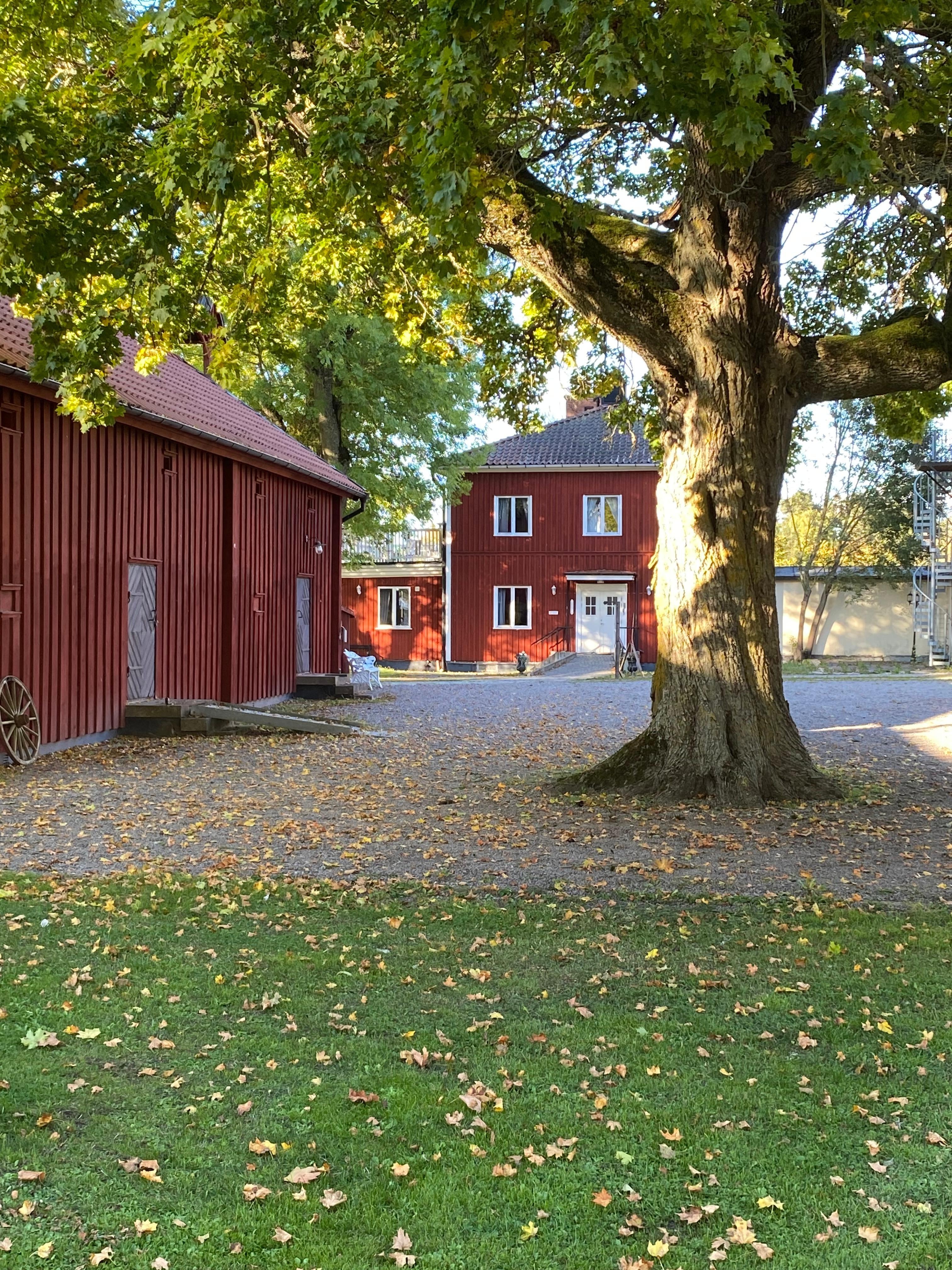 Byggnader på gården.