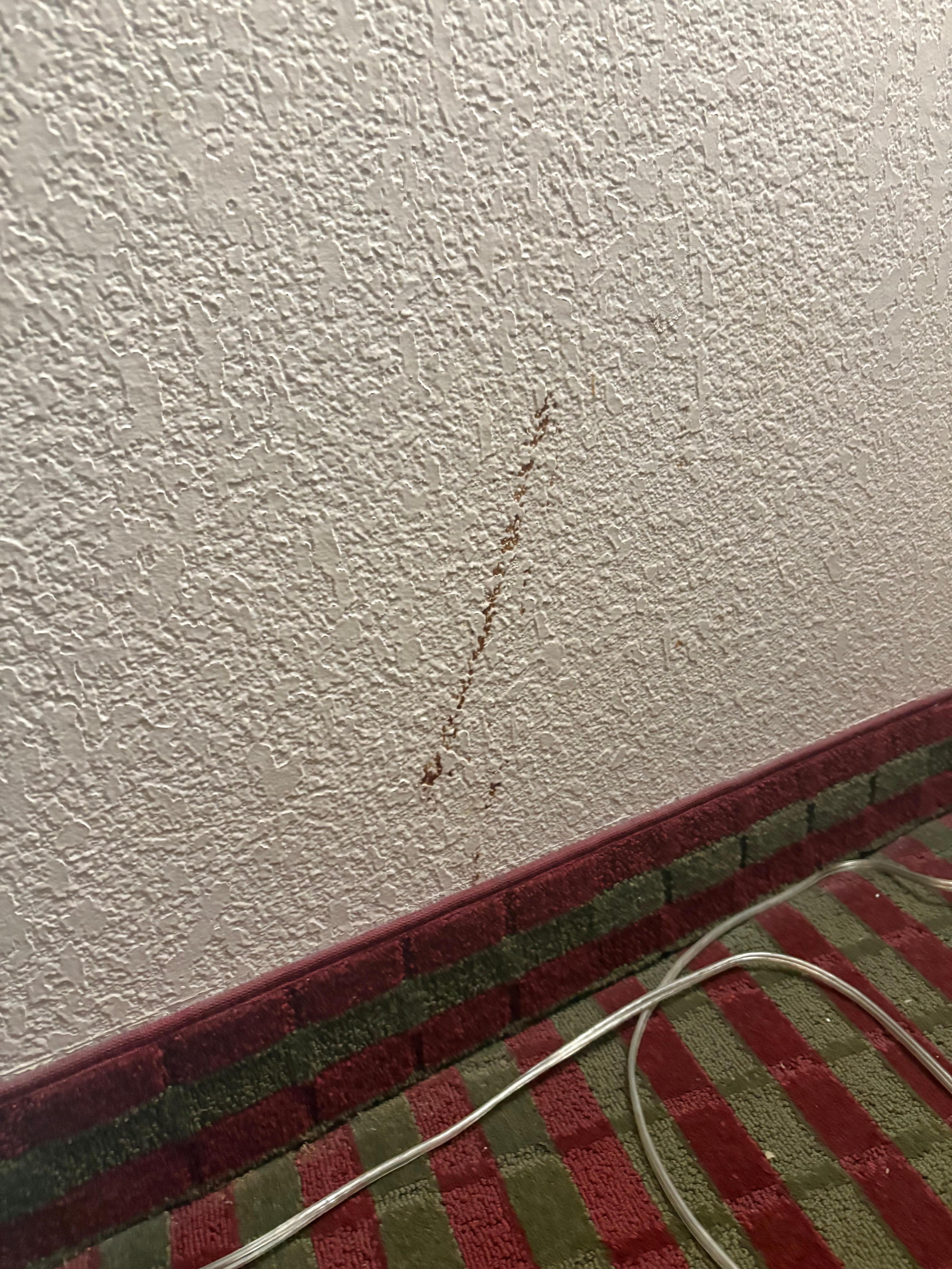 No idea what this red brown splash stain is on the wall.