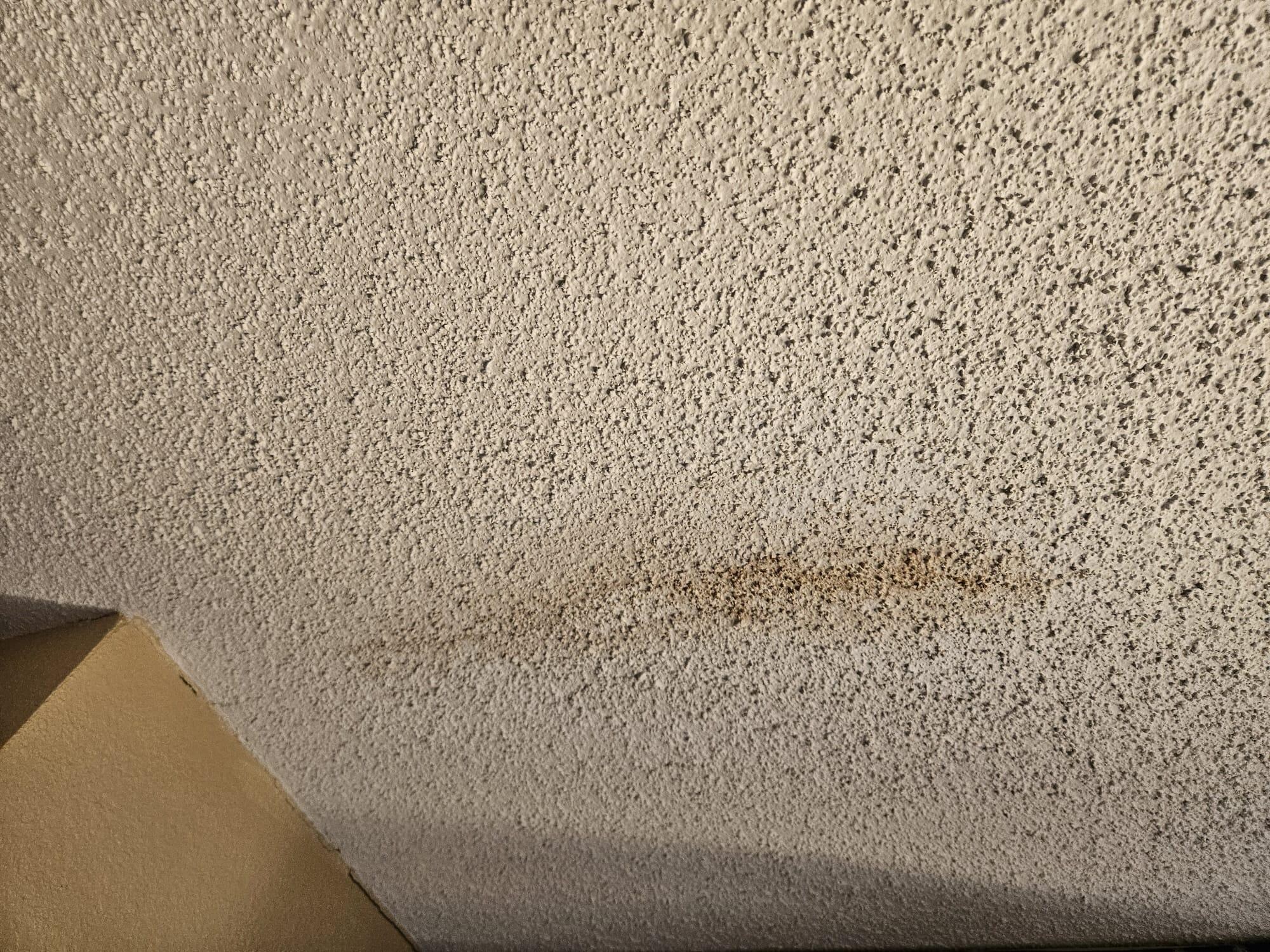 ceiling