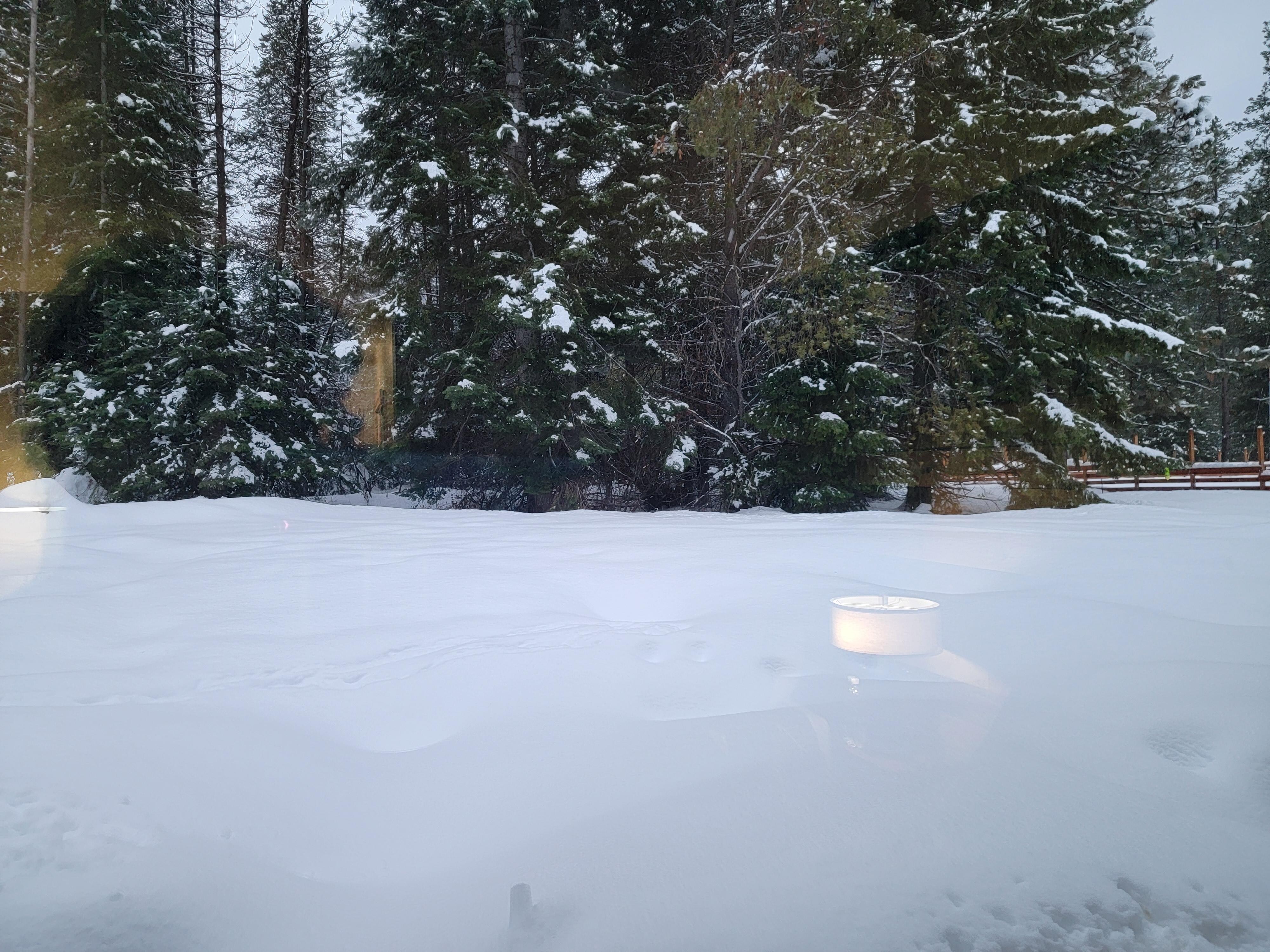 Squirrel Tree Resort in Leavenworth: Find Hotel Reviews, Rooms, and ...