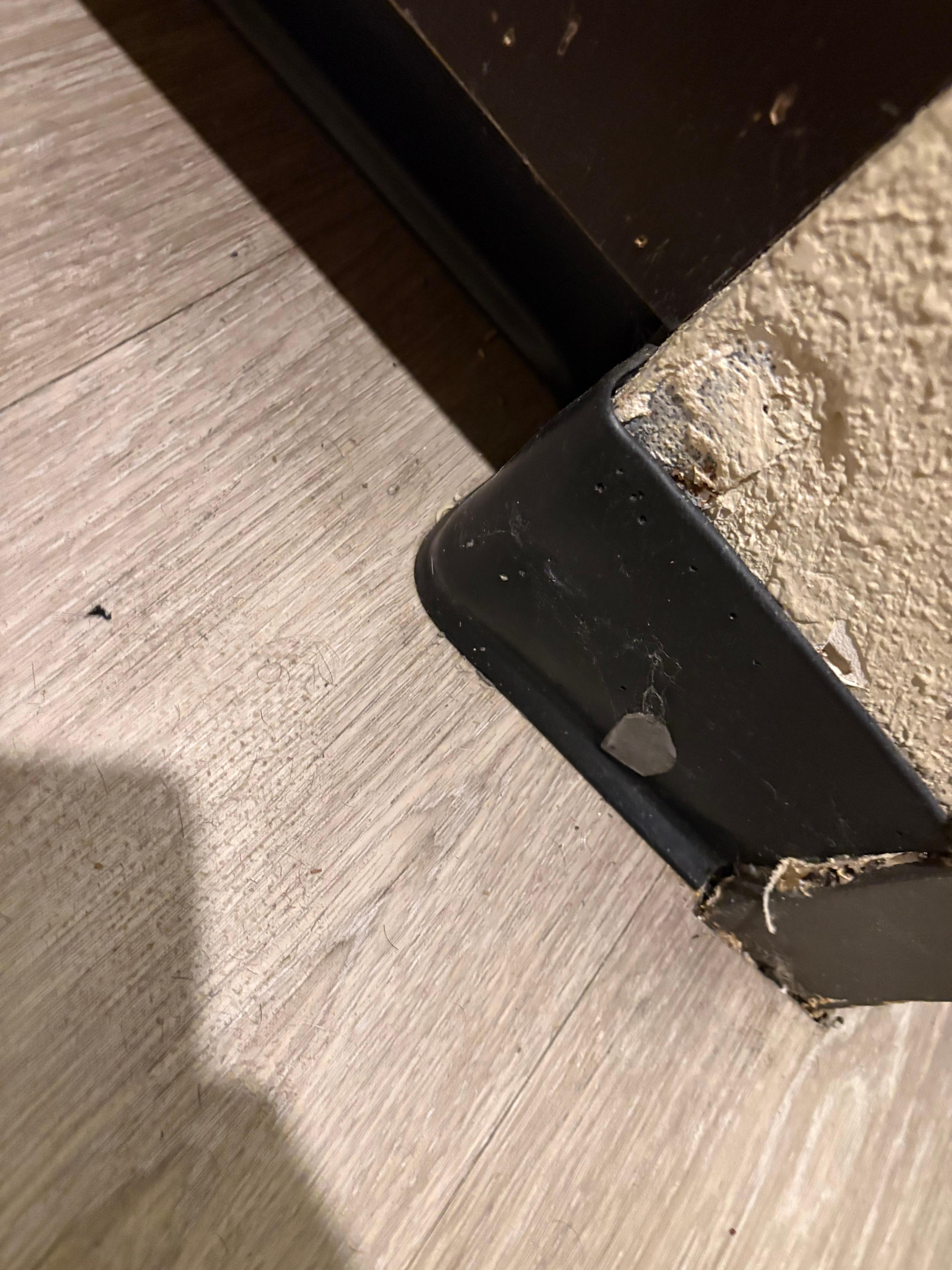 Bugs on the floor and dirt