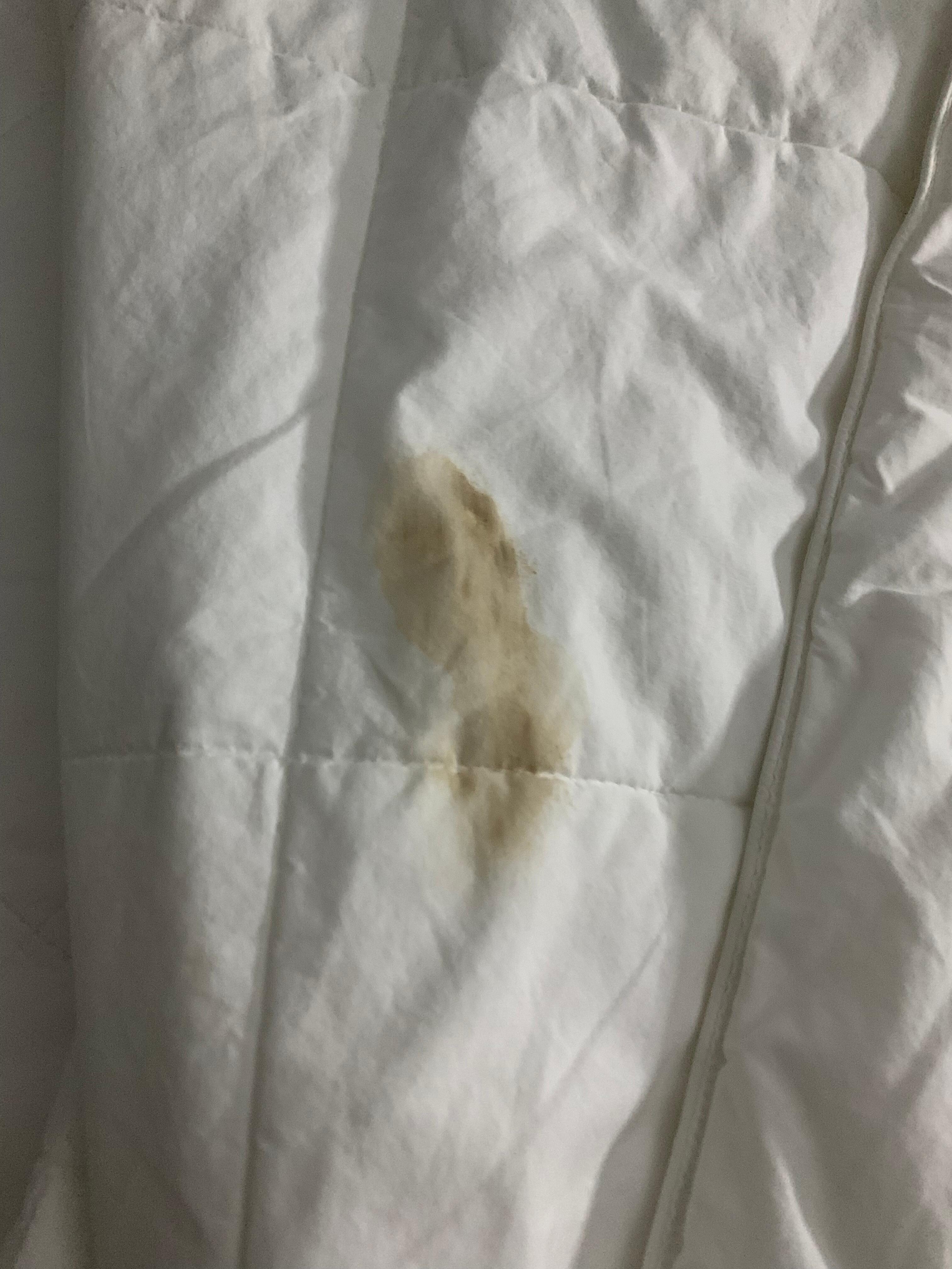 Room 205 bed sheets had stained 