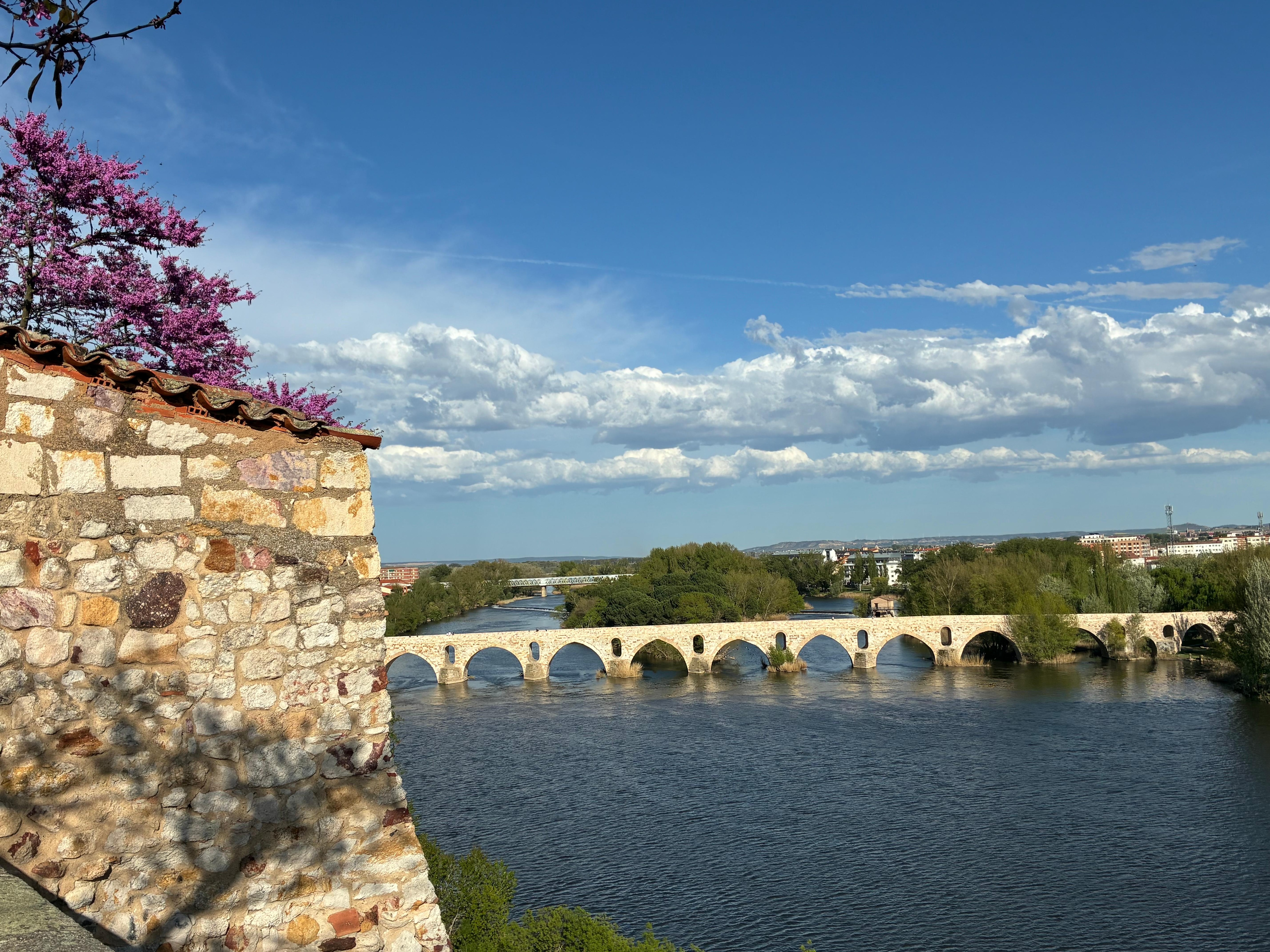 Duoro River Bridge