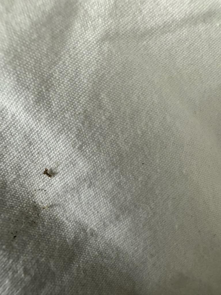 inspect on sheets