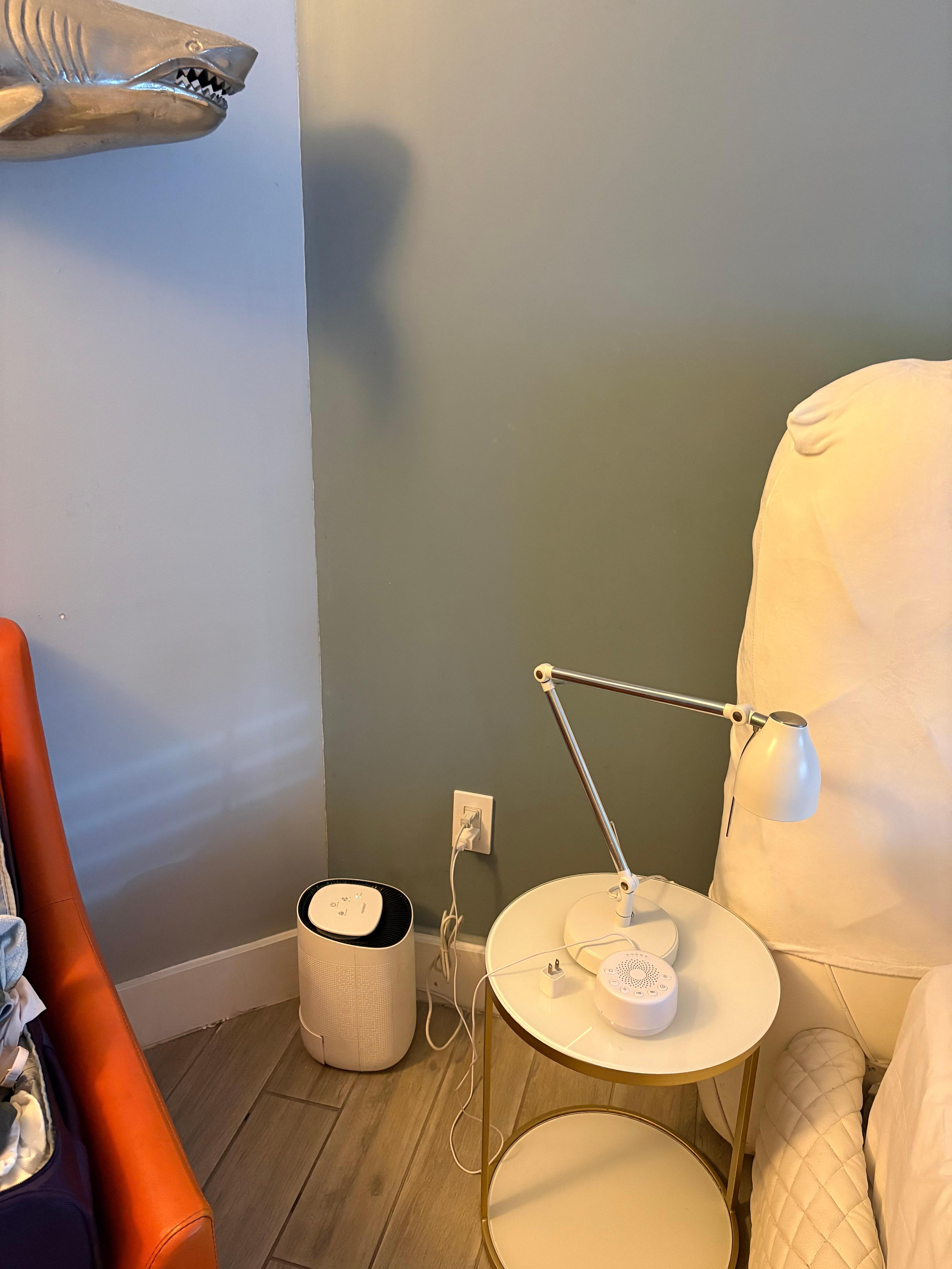 Air purifier to try to help with the smell. It did not help.