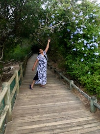 The boardwalk next to the hotel