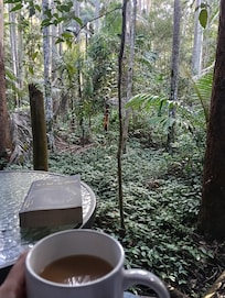 Back patio of cabin amongst the trees.