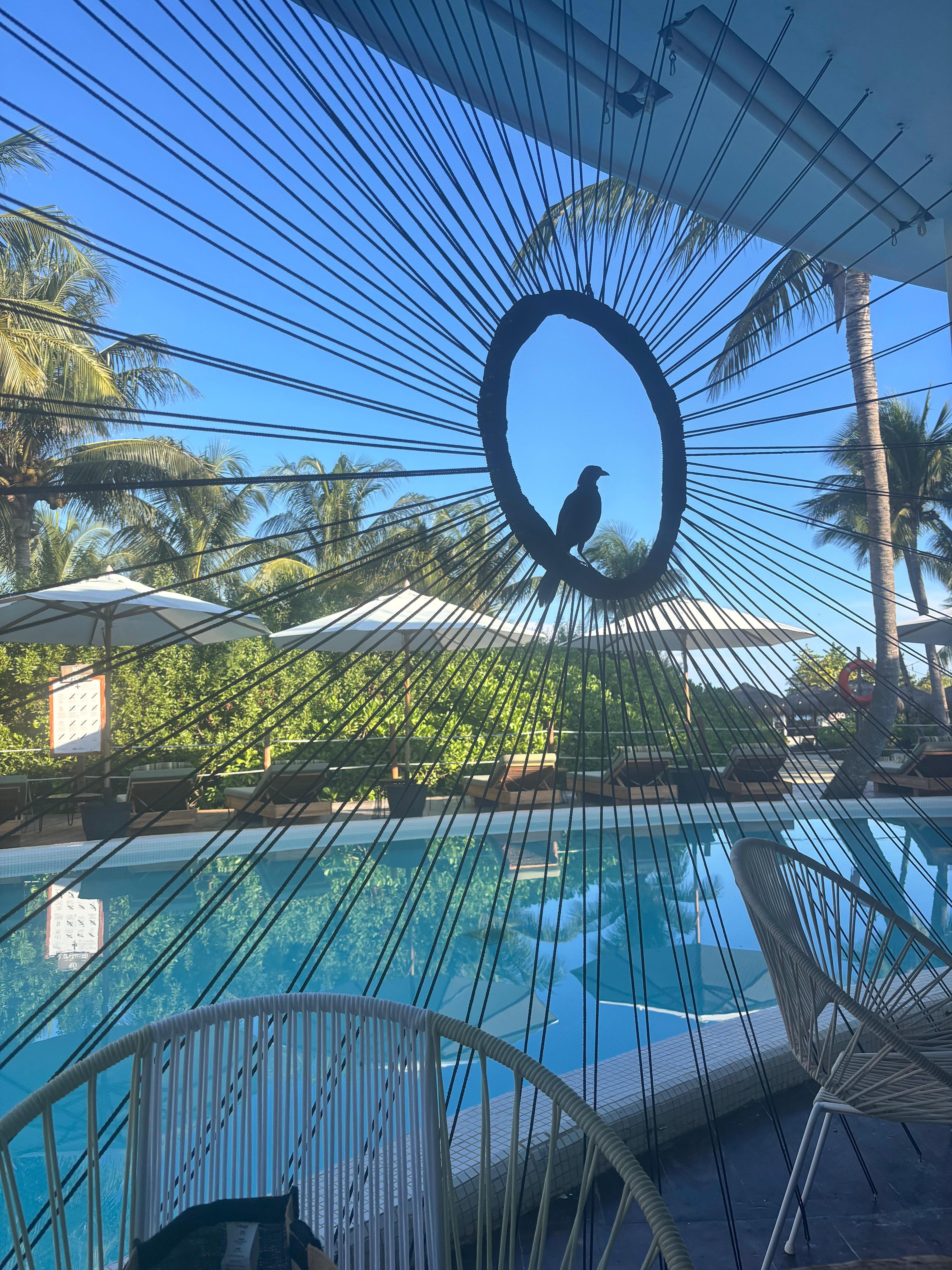 El restaurante con desayuno bufet es fabuloso 