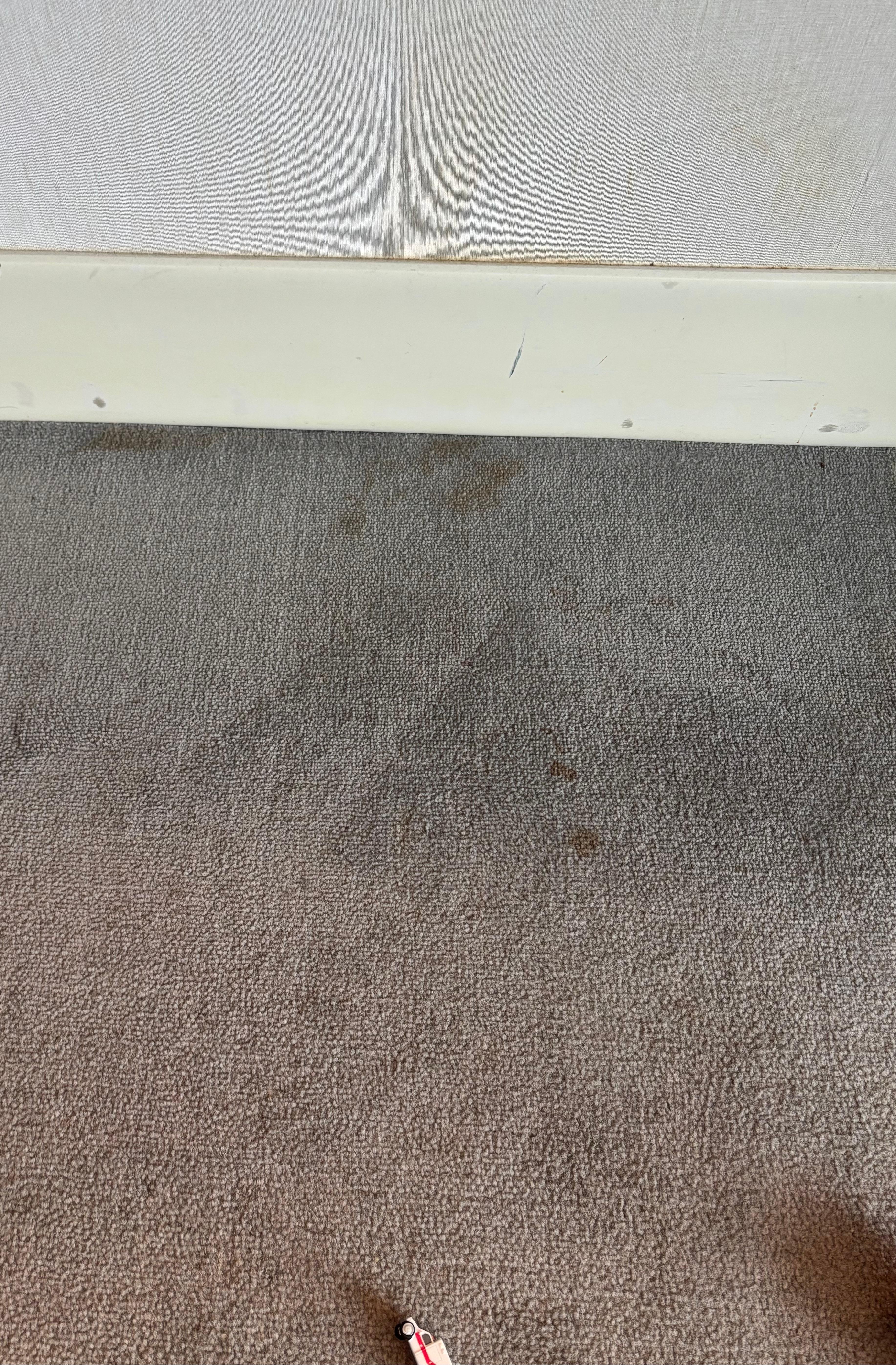 Floor and wall stains 